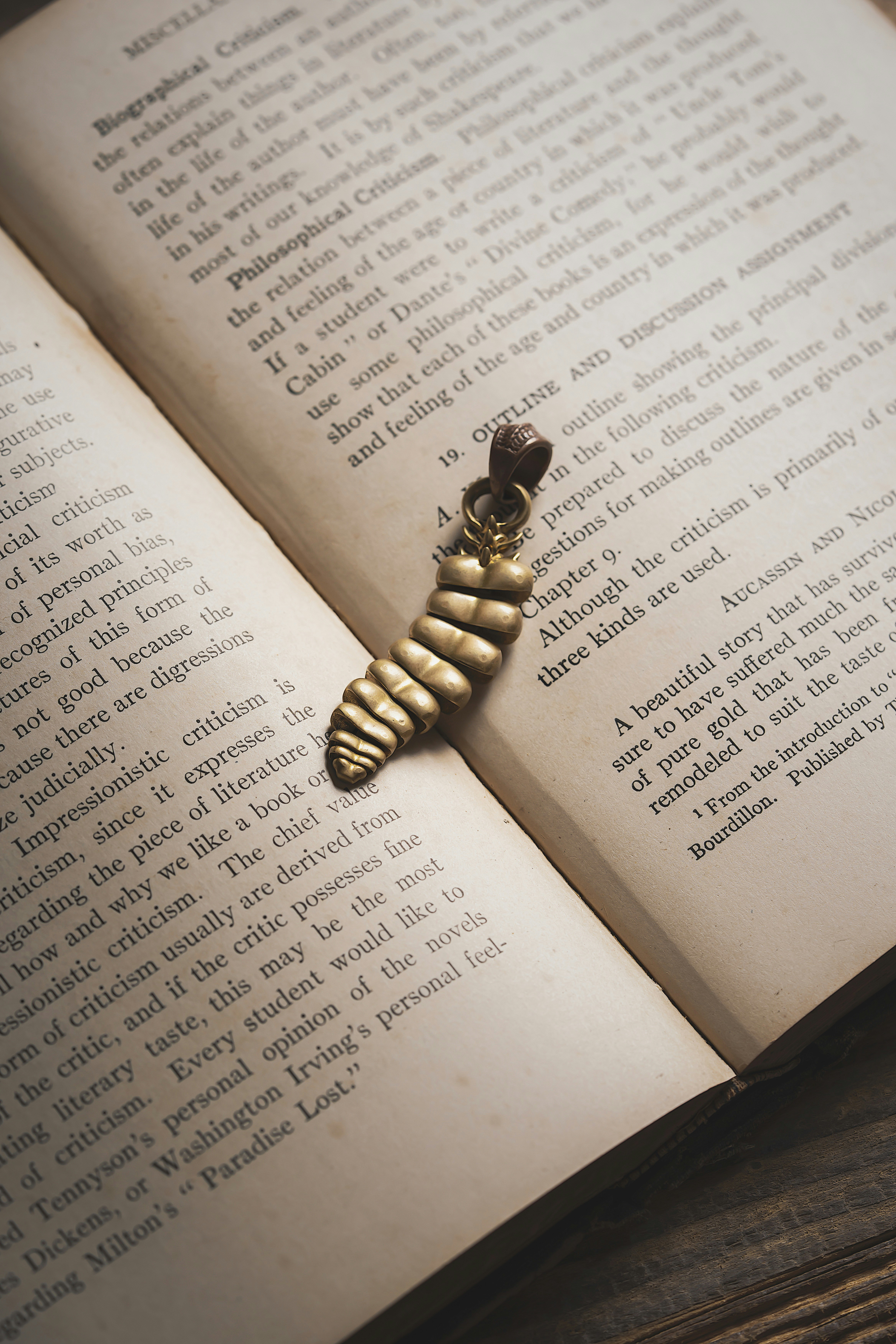 Brass Spiral Anchoring a Page's Quiet Narrative
