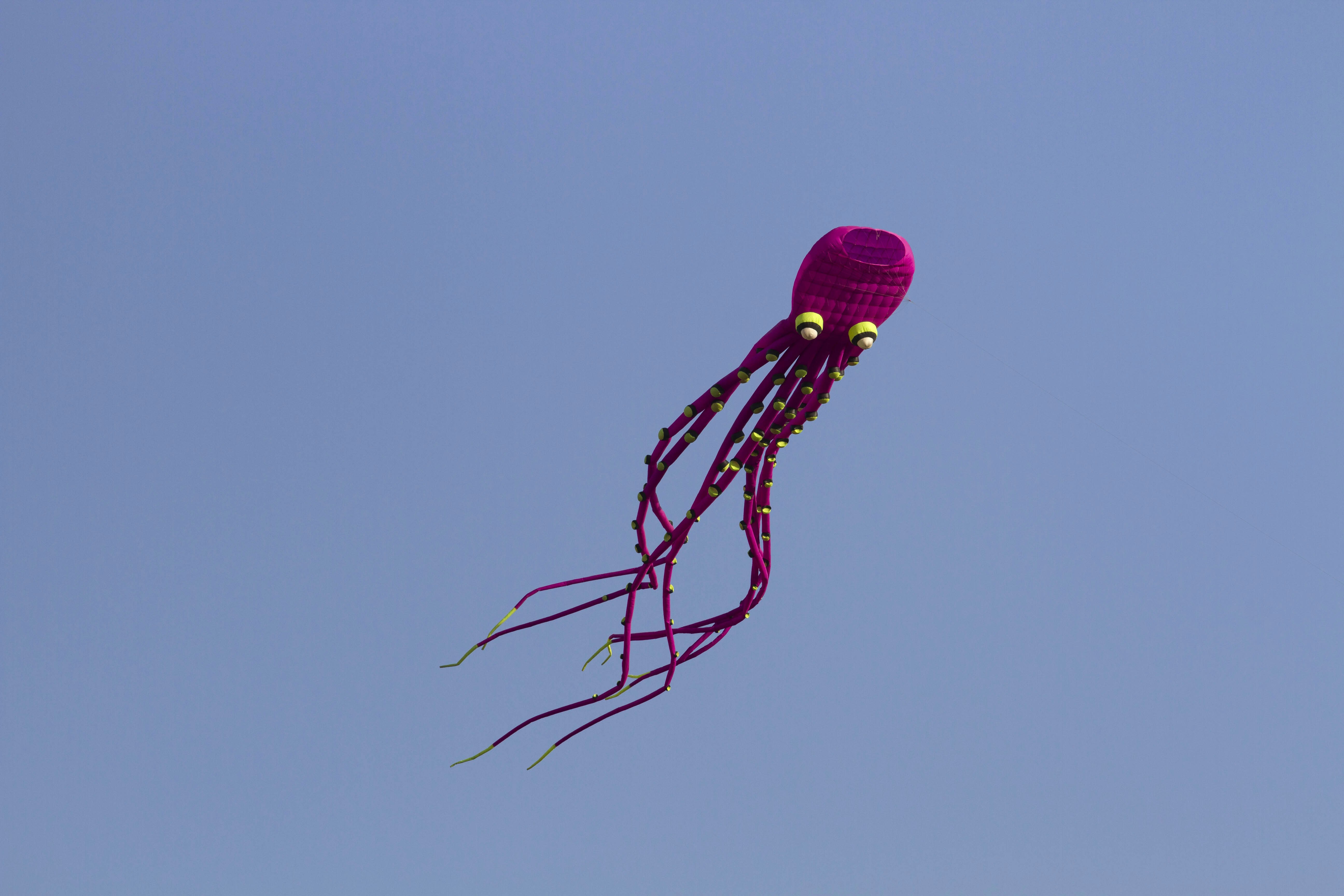 Crimson Jellyfish Kite Carves the Sky