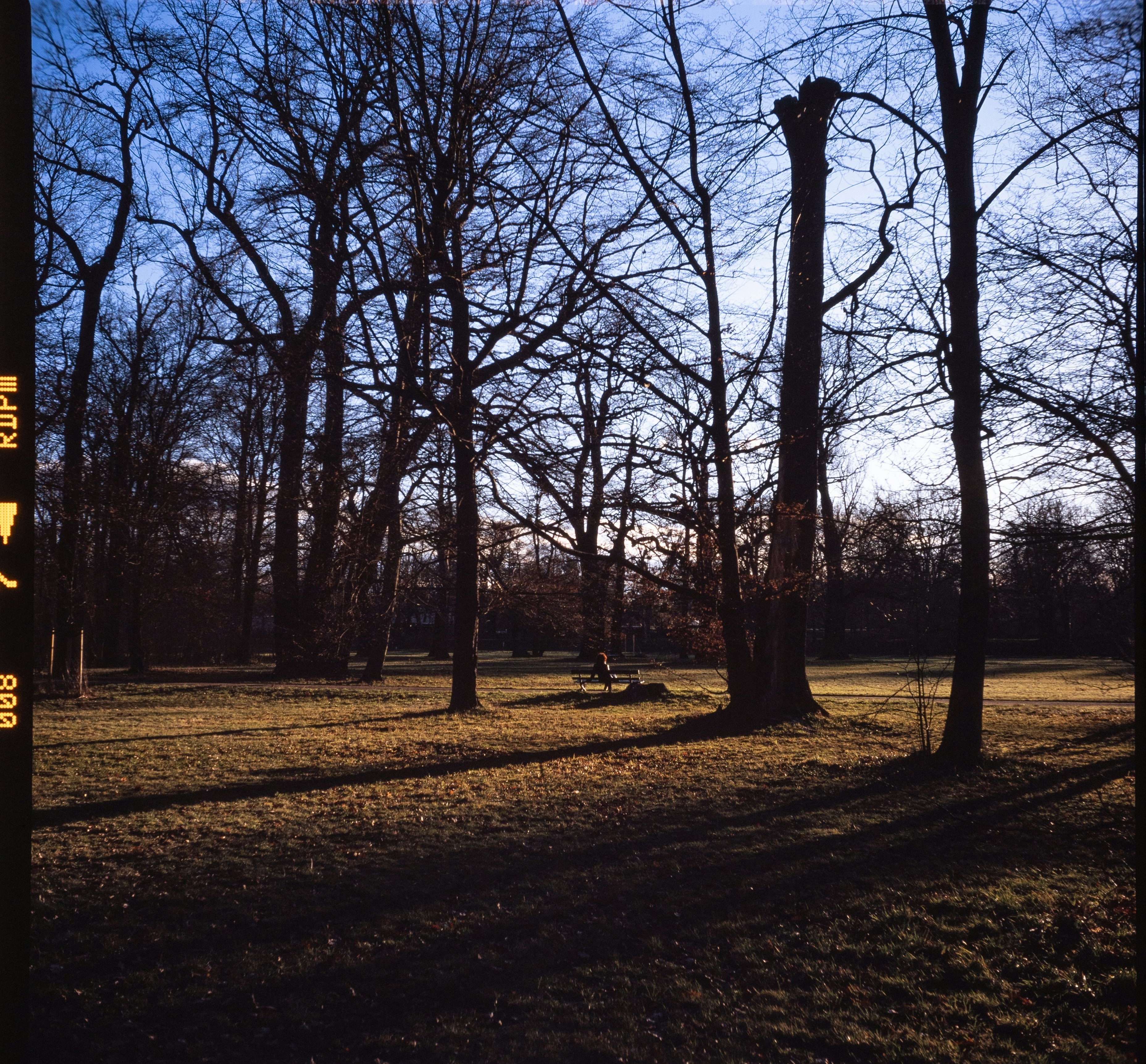 the sun is shining through the trees in the park