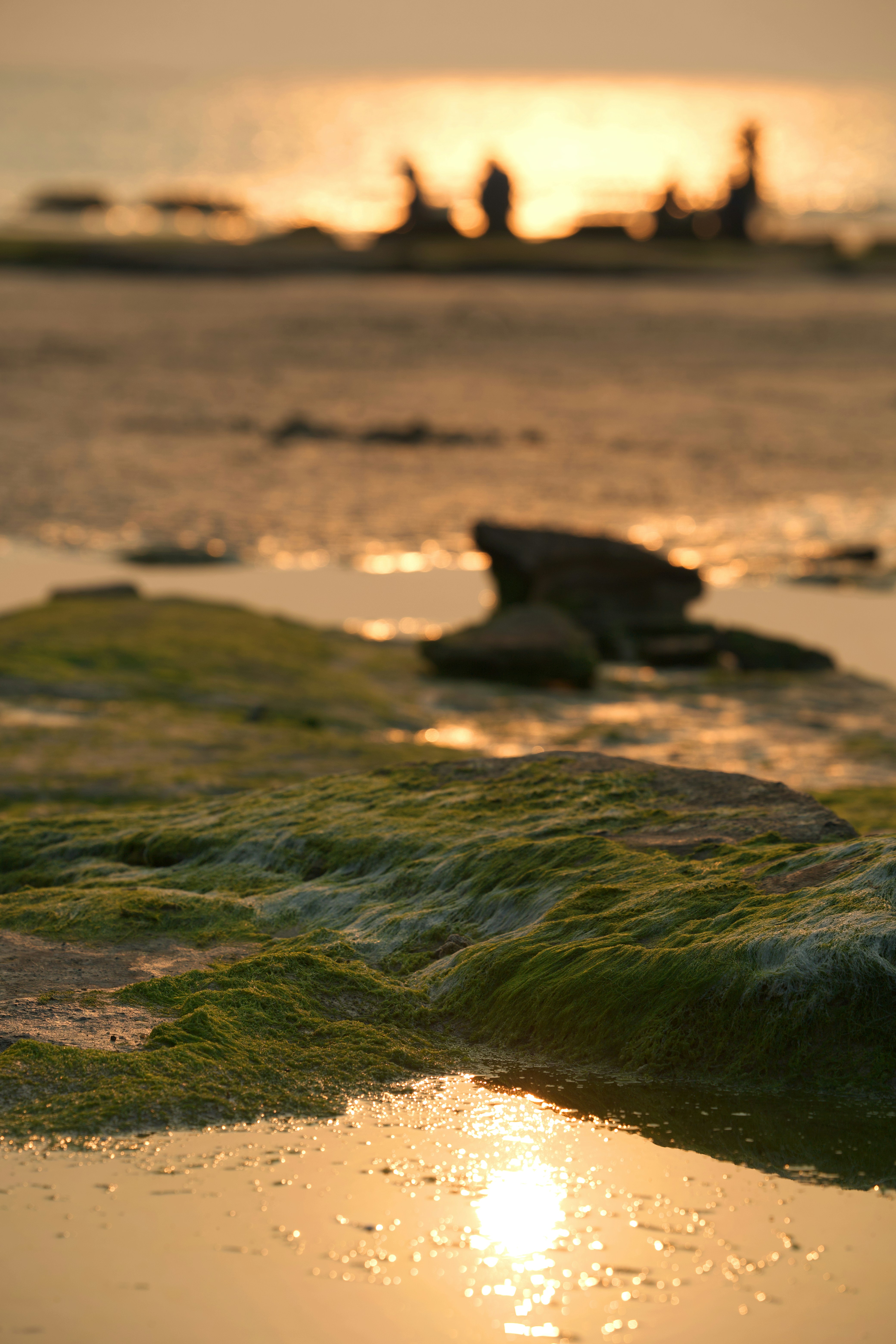 Sea Image Pictures | Download Free Images on Unsplash