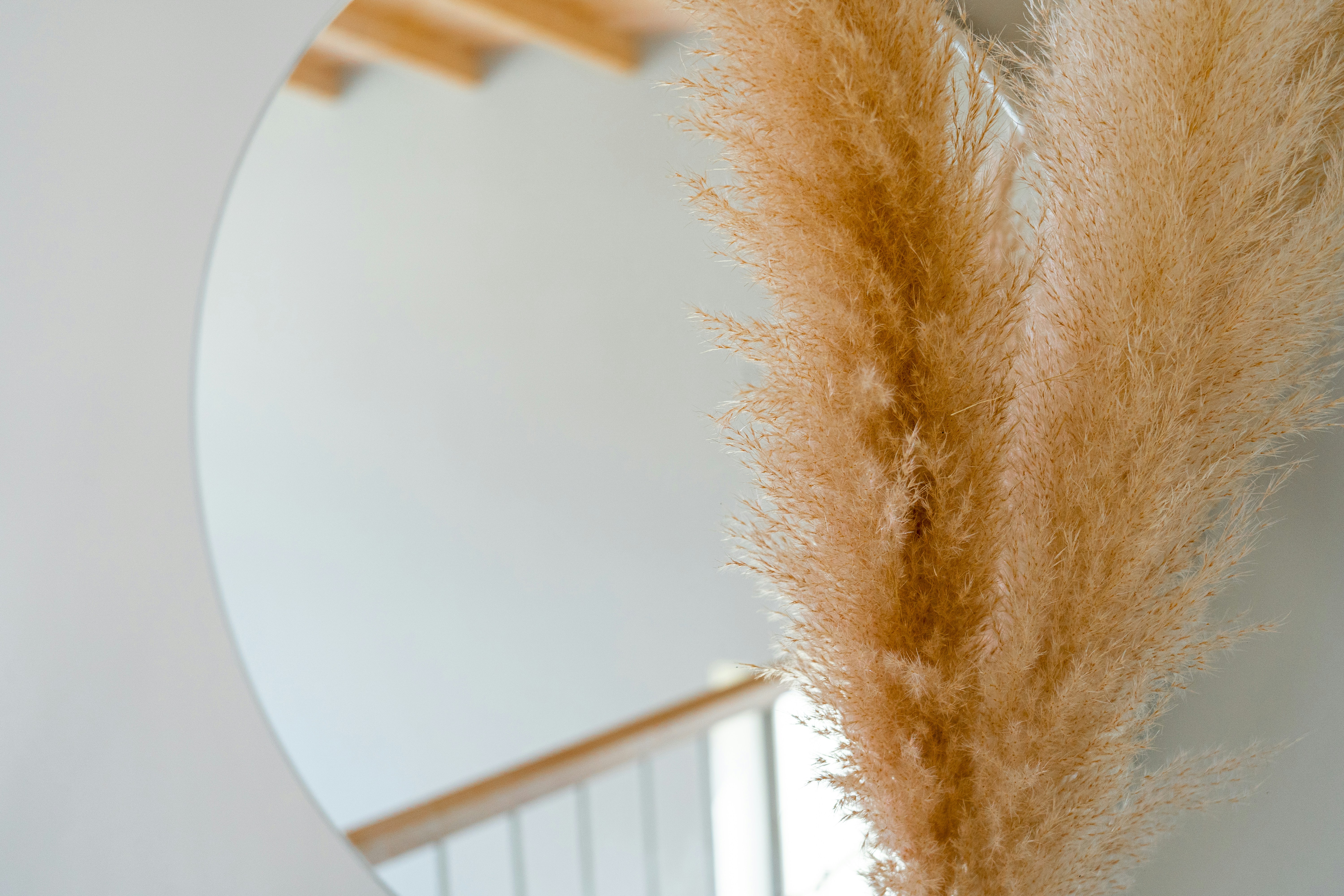 Whispers of Nature in a Modern Space