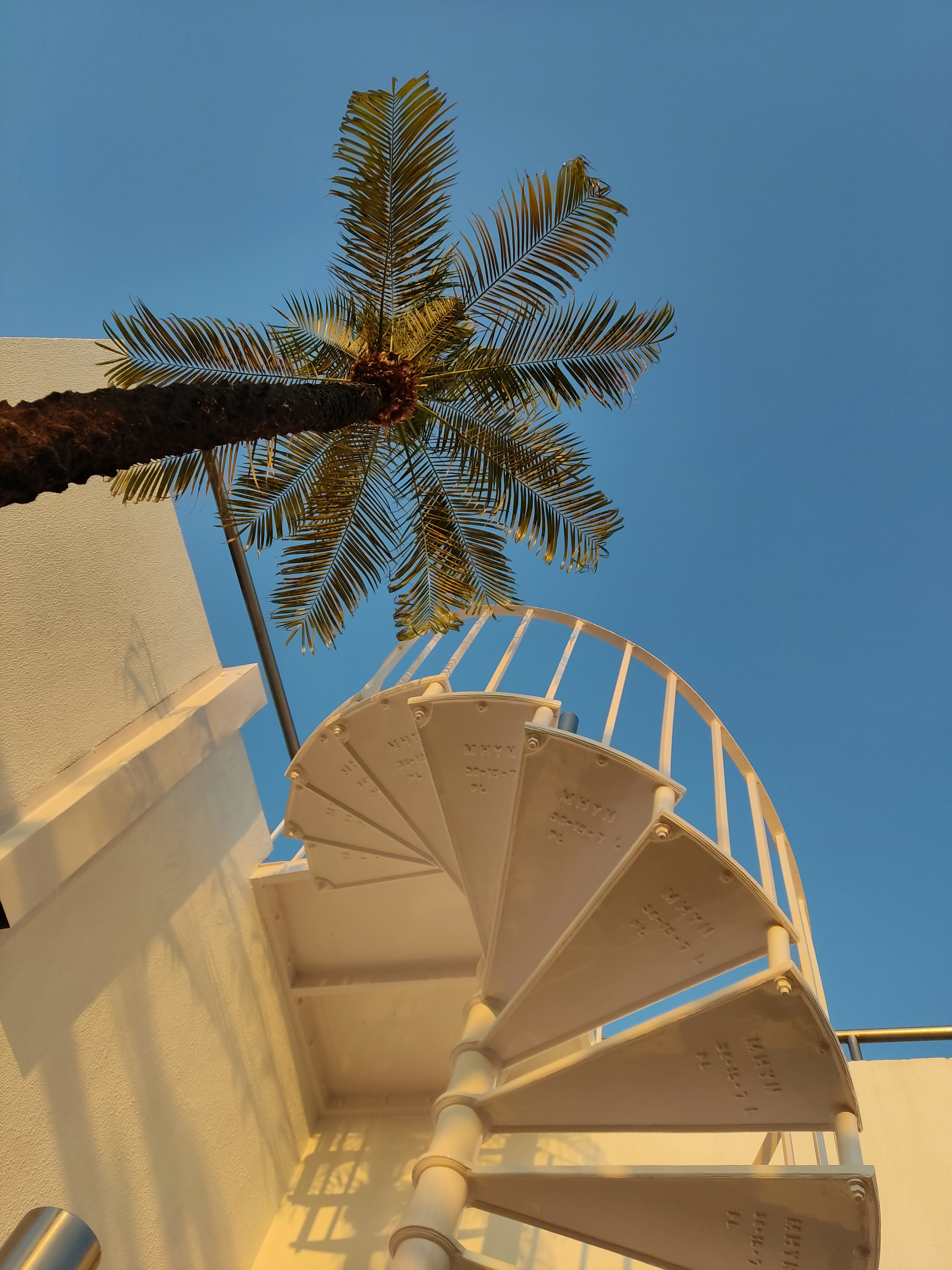 Sunil Ray (@ray027) | Unsplash Photo Community