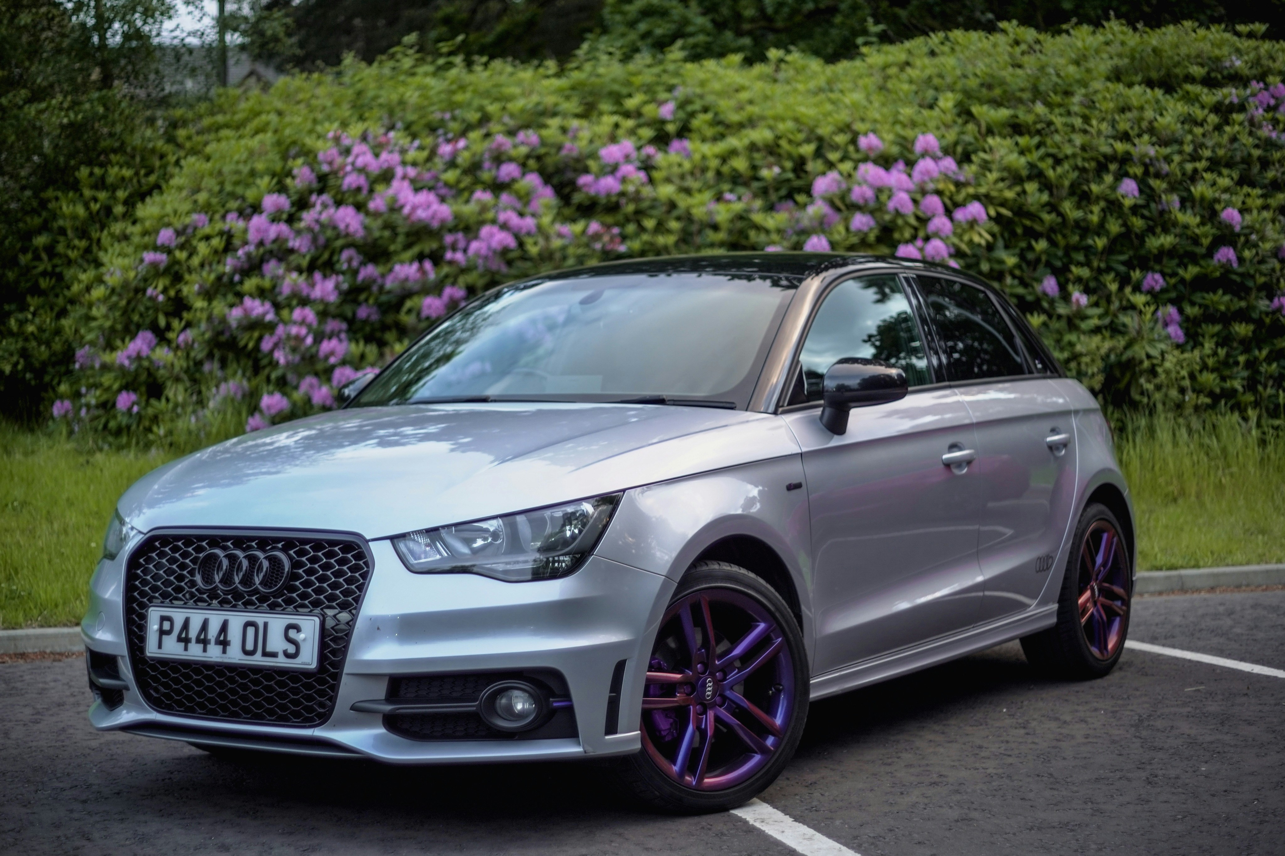 Photo by Patrycja Olszak with Sony Alpha 7 III