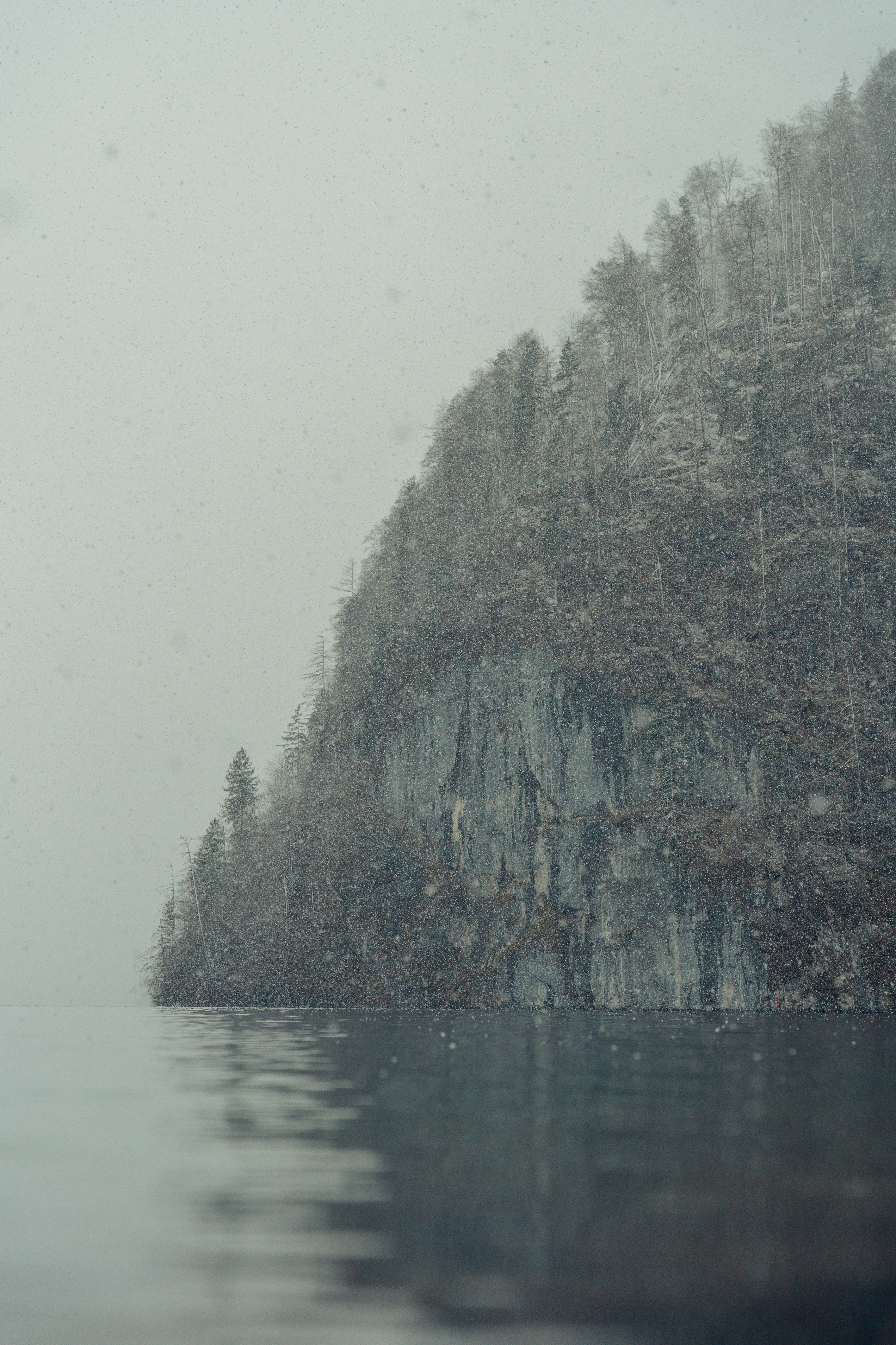 a large body of water surrounded by a forest