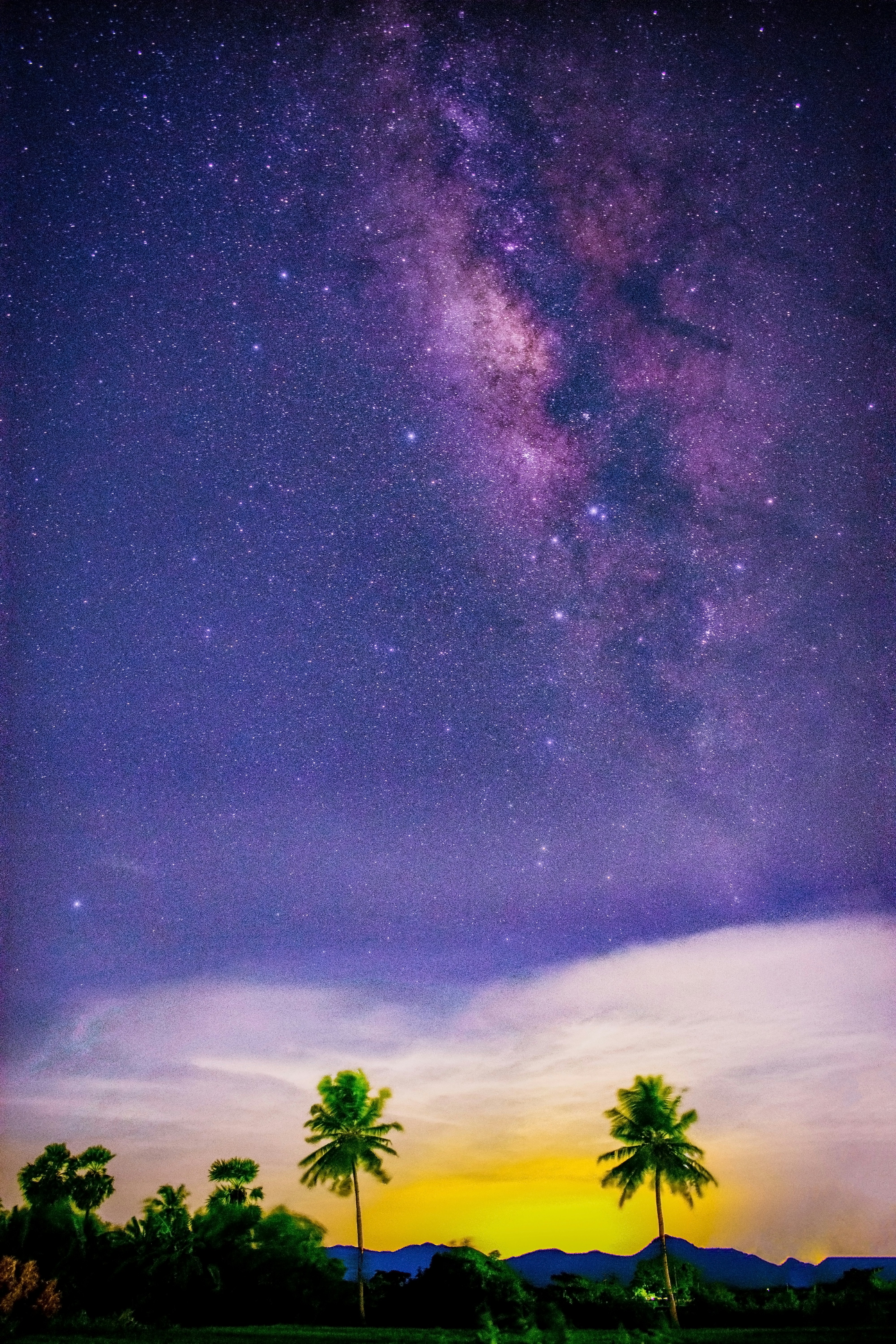 The night sky is filled with stars and palm trees photo – Free Tamil ...