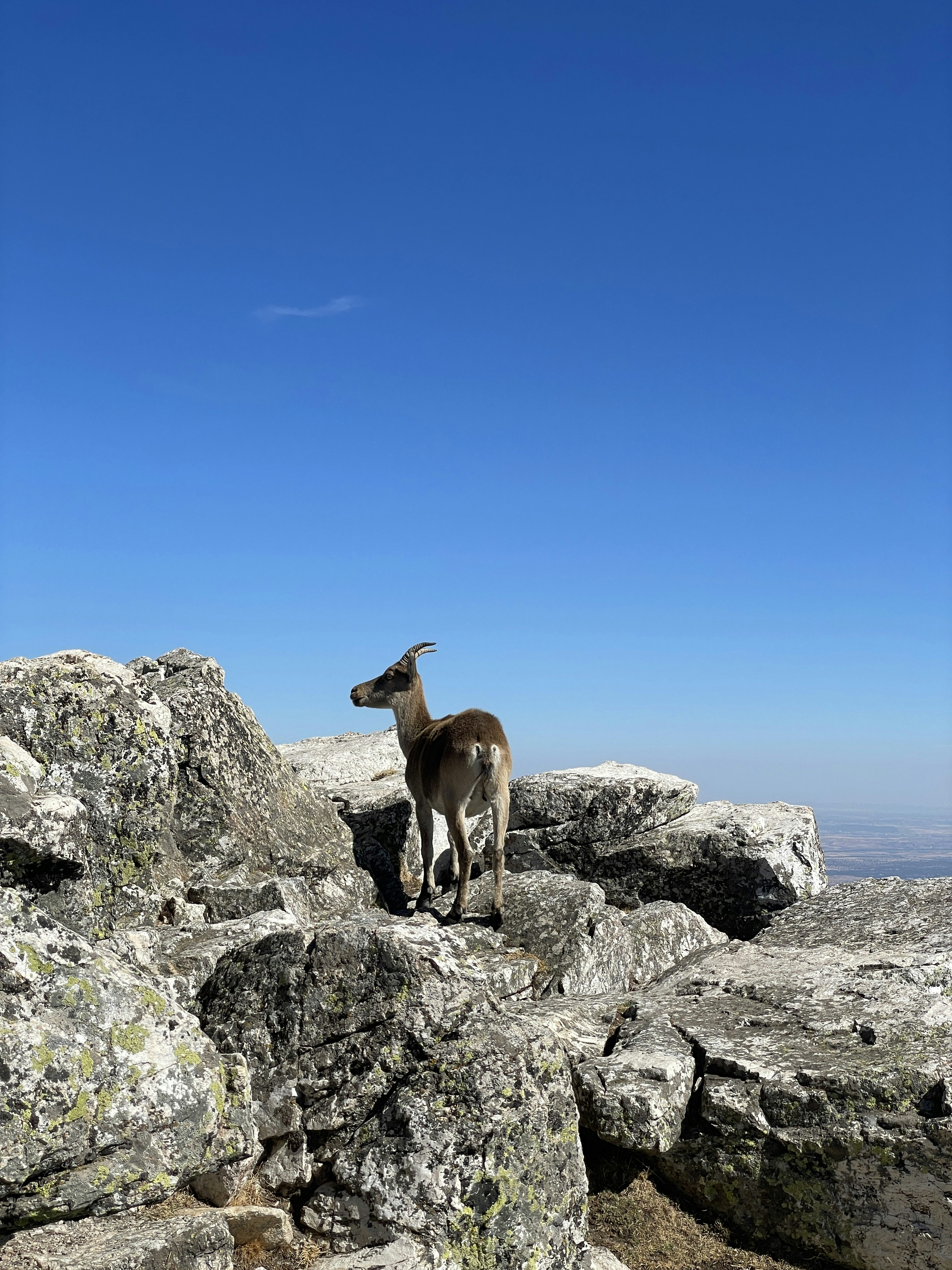 Photo by Rulu GFX with Apple iPhone 12 Pro