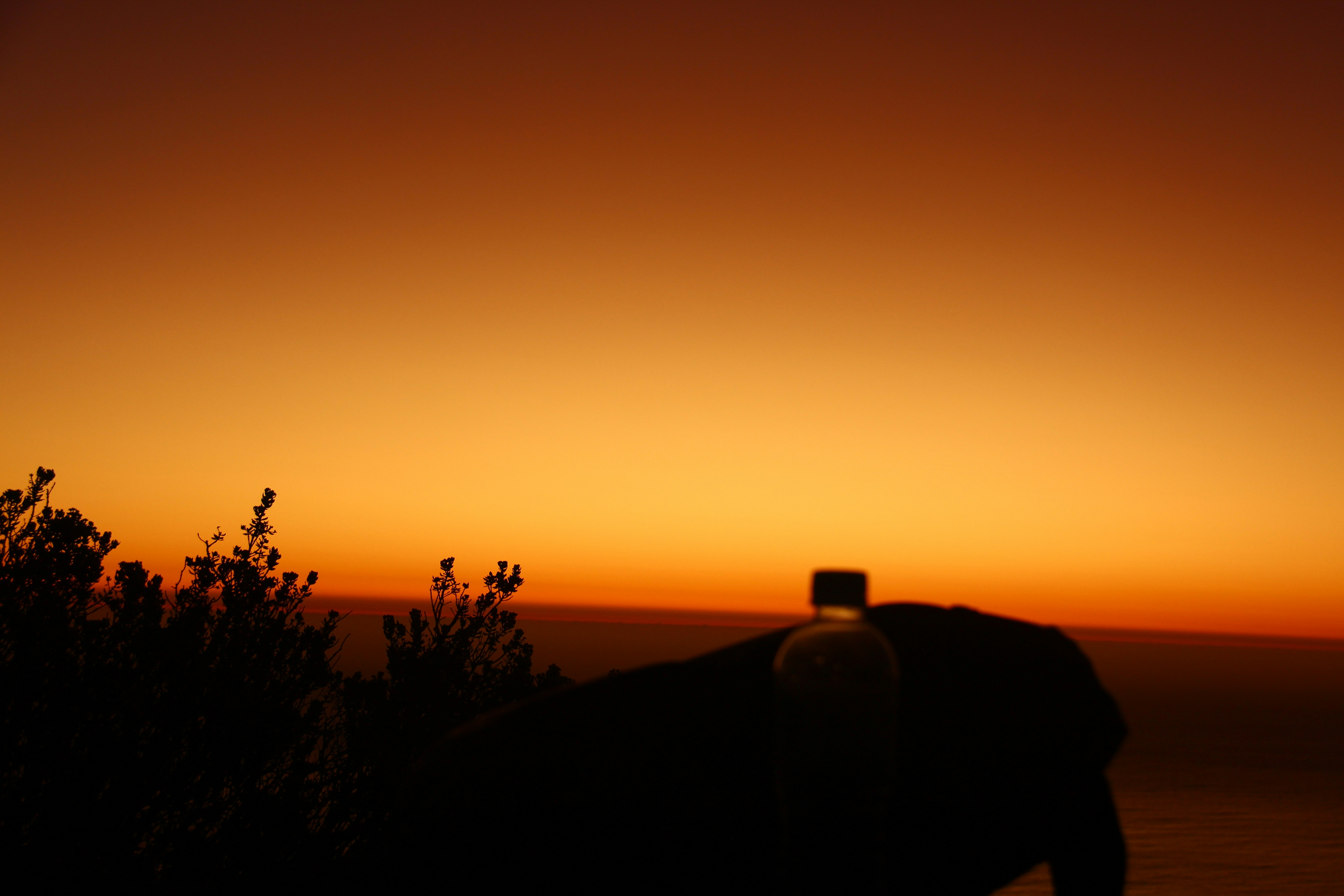Silhouette at Dusk: A Quiet Focus on Horizon
