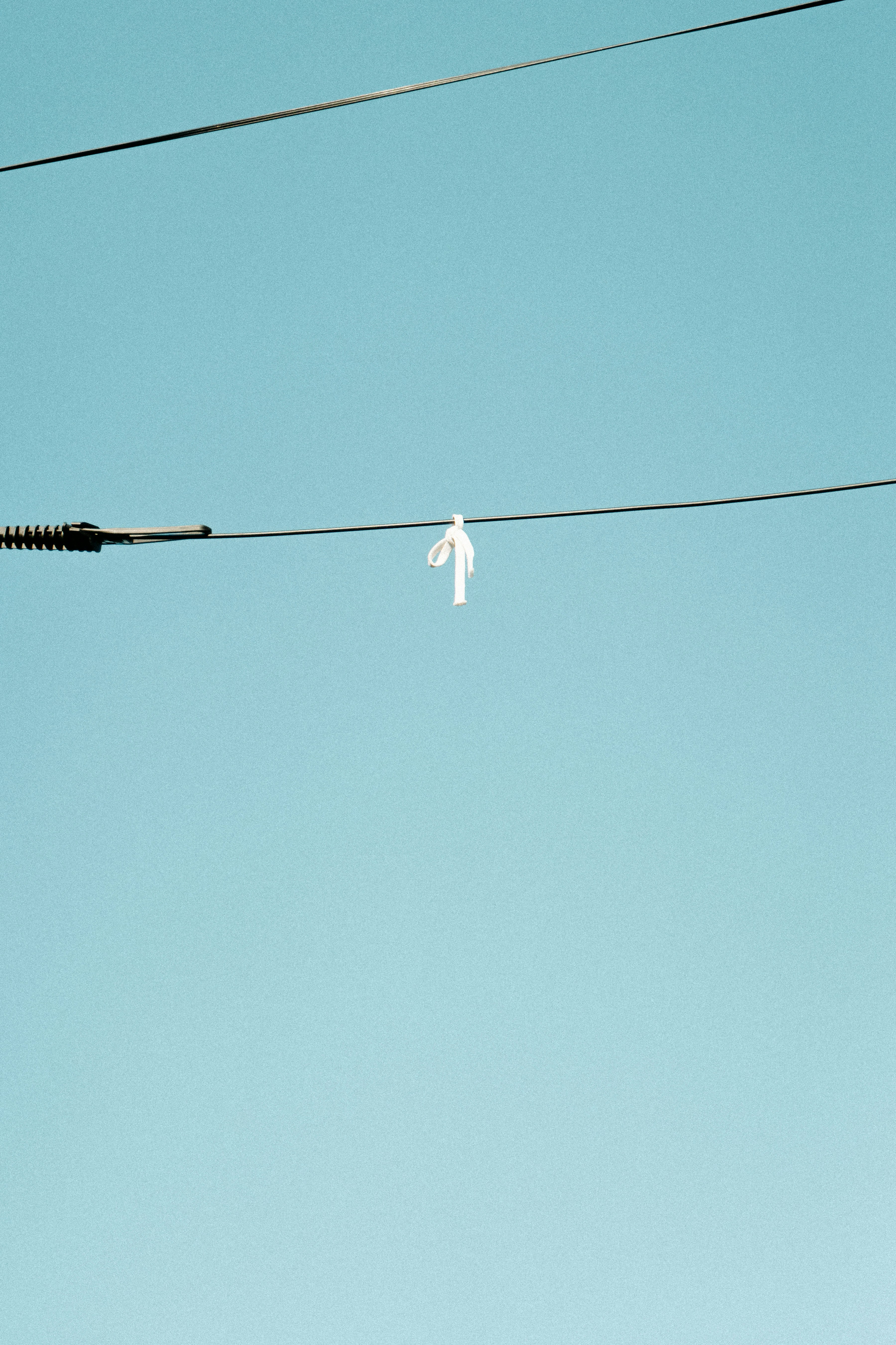 Photo by elisadventure with Sony Alpha 7 III