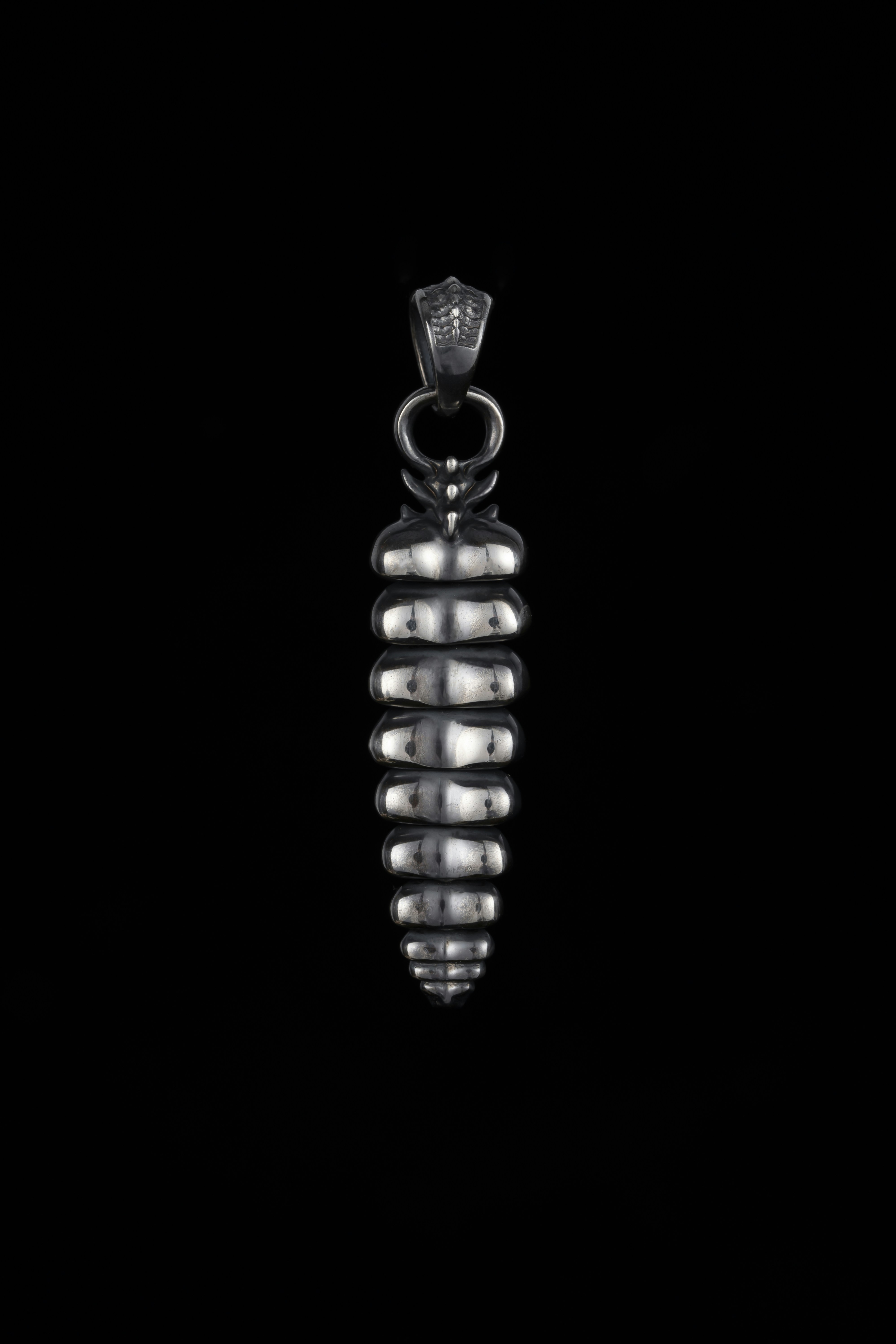 Segmented Silhouette: Night Beetle Pendant on a Black Backdrop