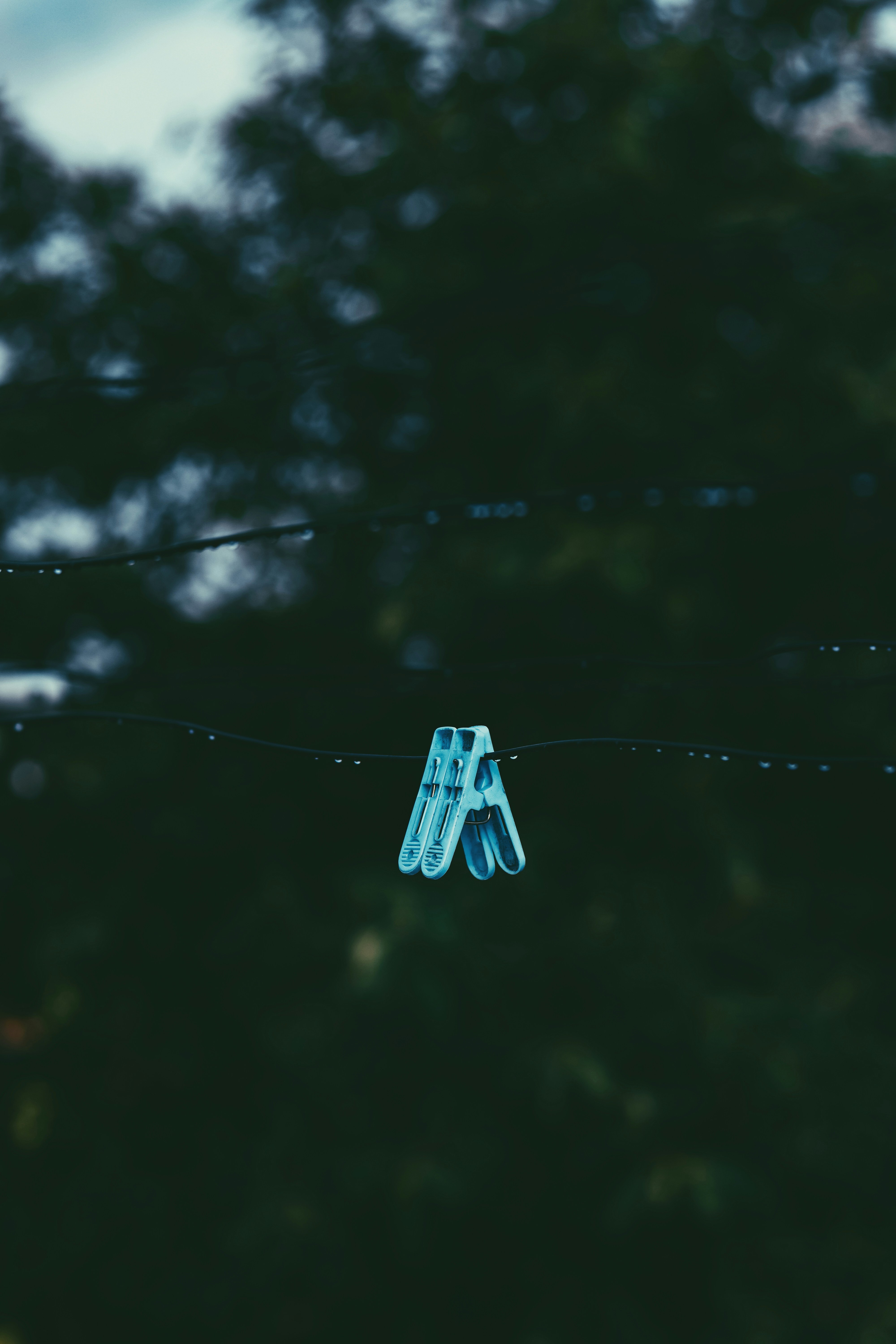 Blue Clothespin Focal in Dark Sky: A Quiet Moment on the Line