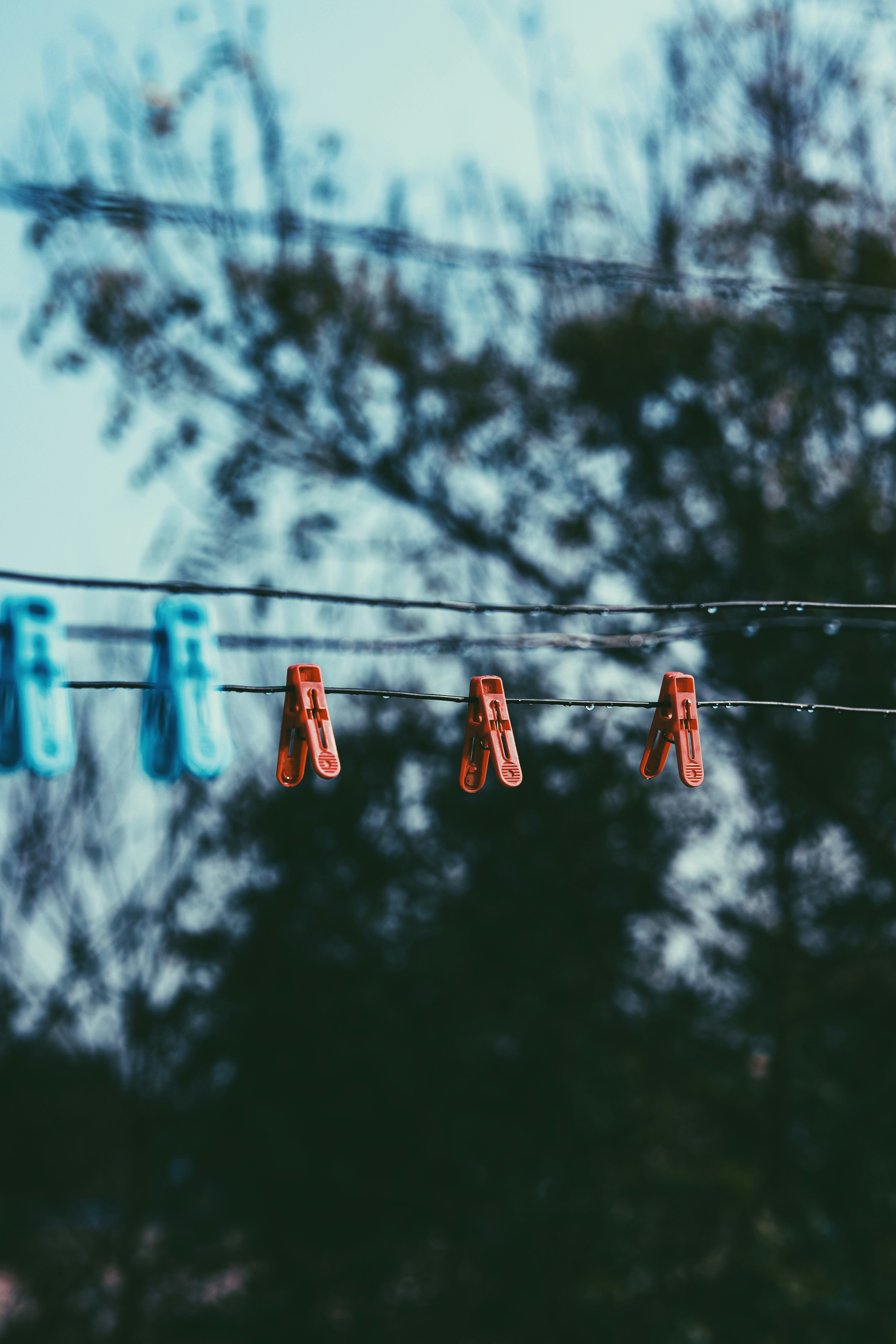 Photo by Dhilip Antony with Canon EOS 200D Mark II