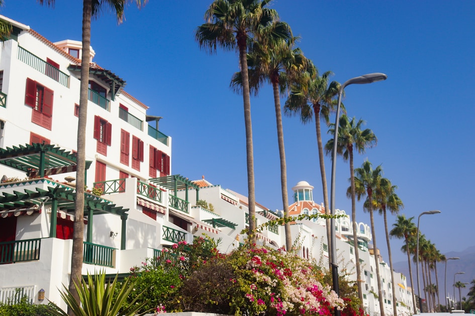 Costa del Sol Property Buyer’s Report 2026: Market Trends | Spanish ...
