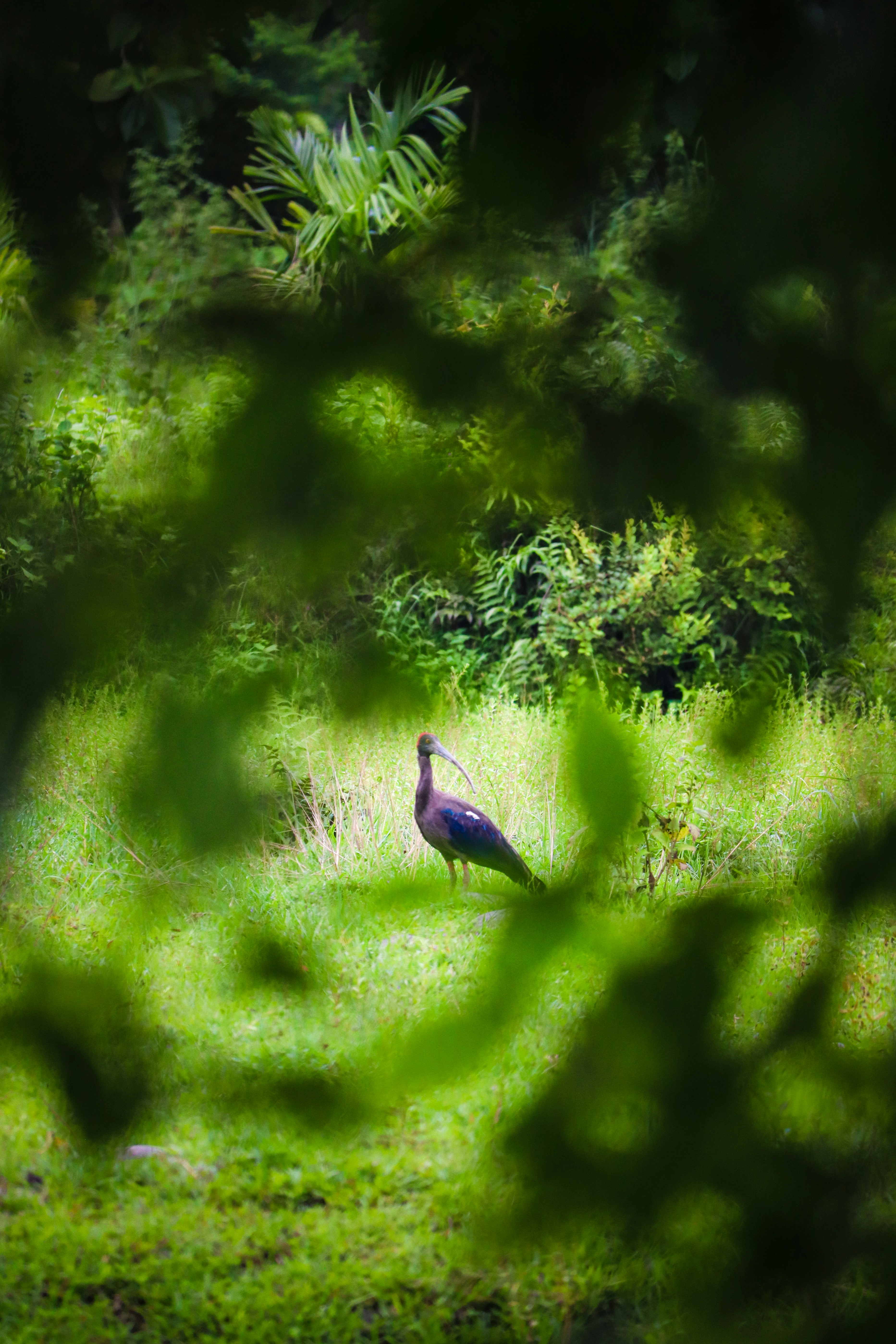 Photo by Soonam Wooeser with Canon EOS 200D Mark II