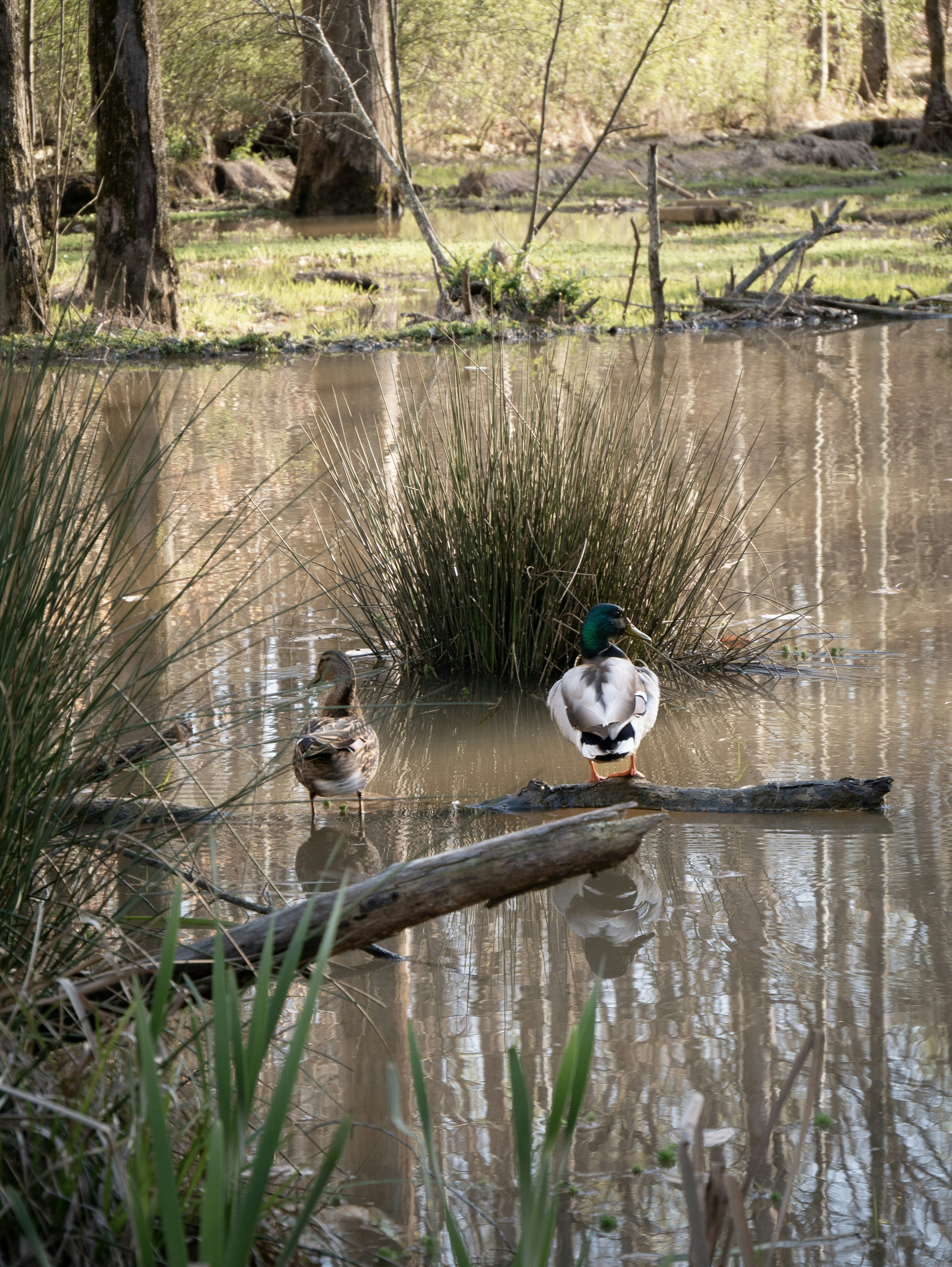 Photo by Jonathan Ardila with Panasonic Lumix G85