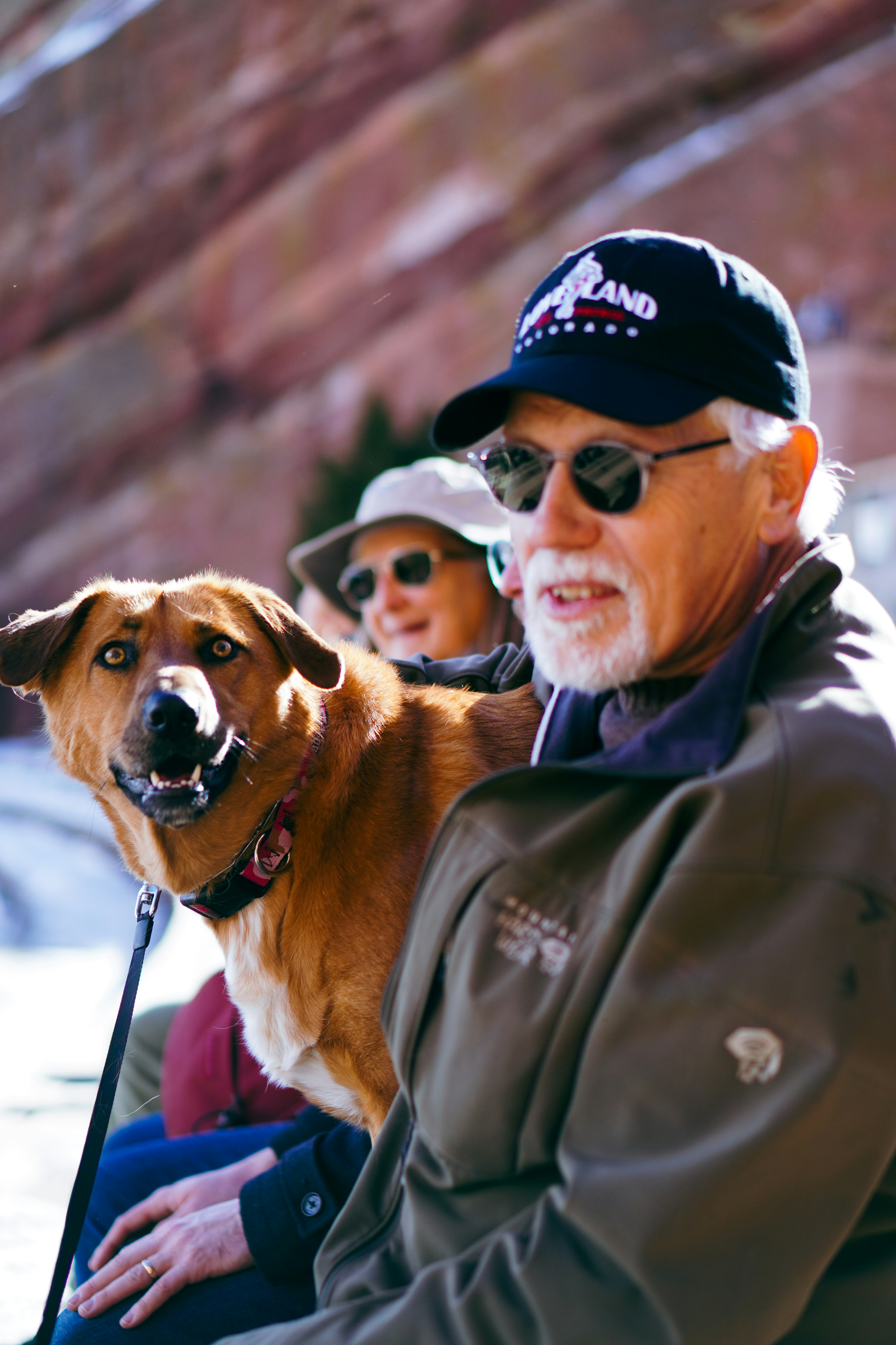Canyon Light and Loyal Gaze: A Dog and Friends by the Riverbank