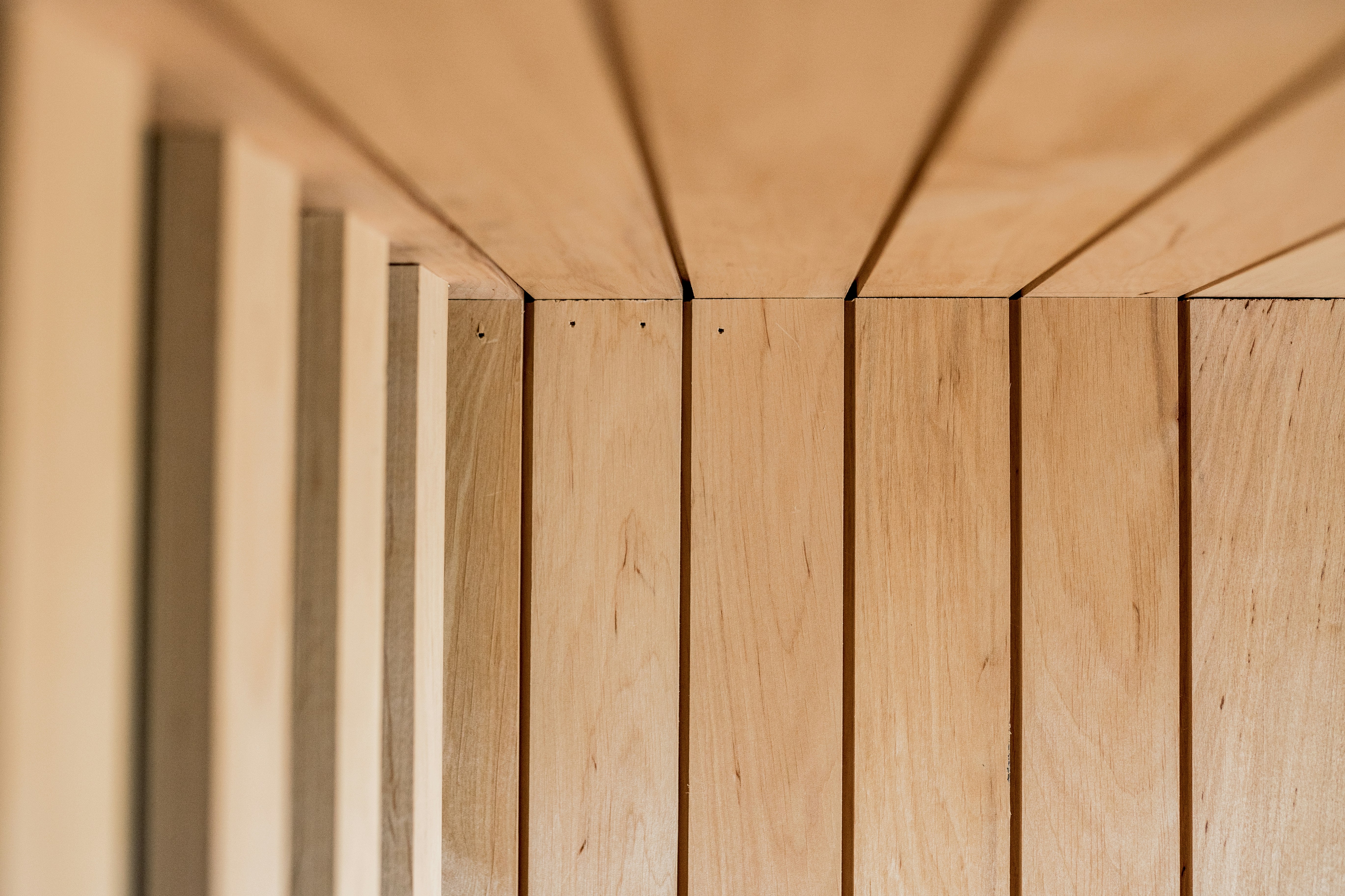 Photo by Lukas Kubica with Sony Alpha 7 III