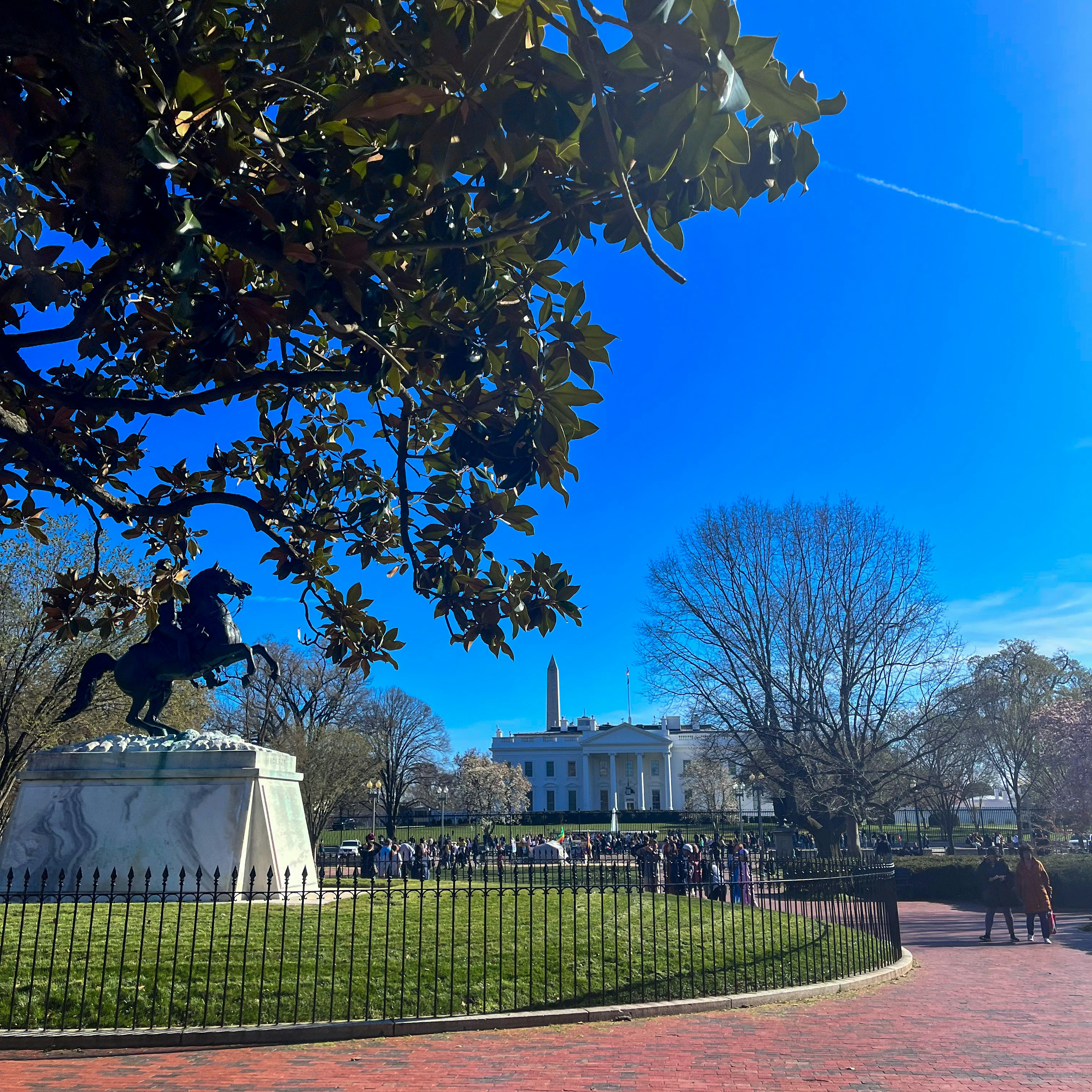 Sunlit Capitol Park: Obelisk Framed by a Horse Statue and a Crowd
