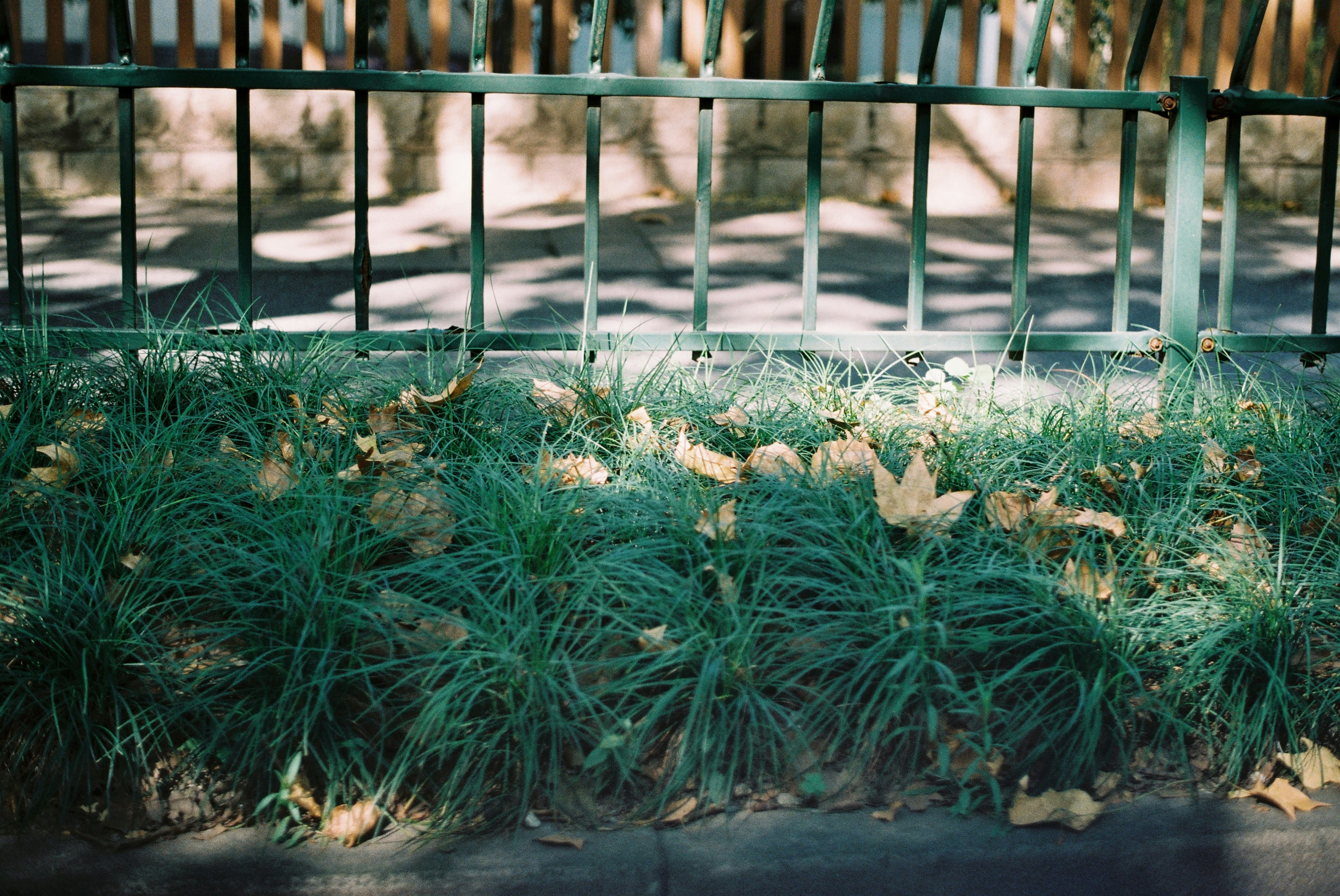 Photo by SHURUI CHEN with Fujifilm SP-3000