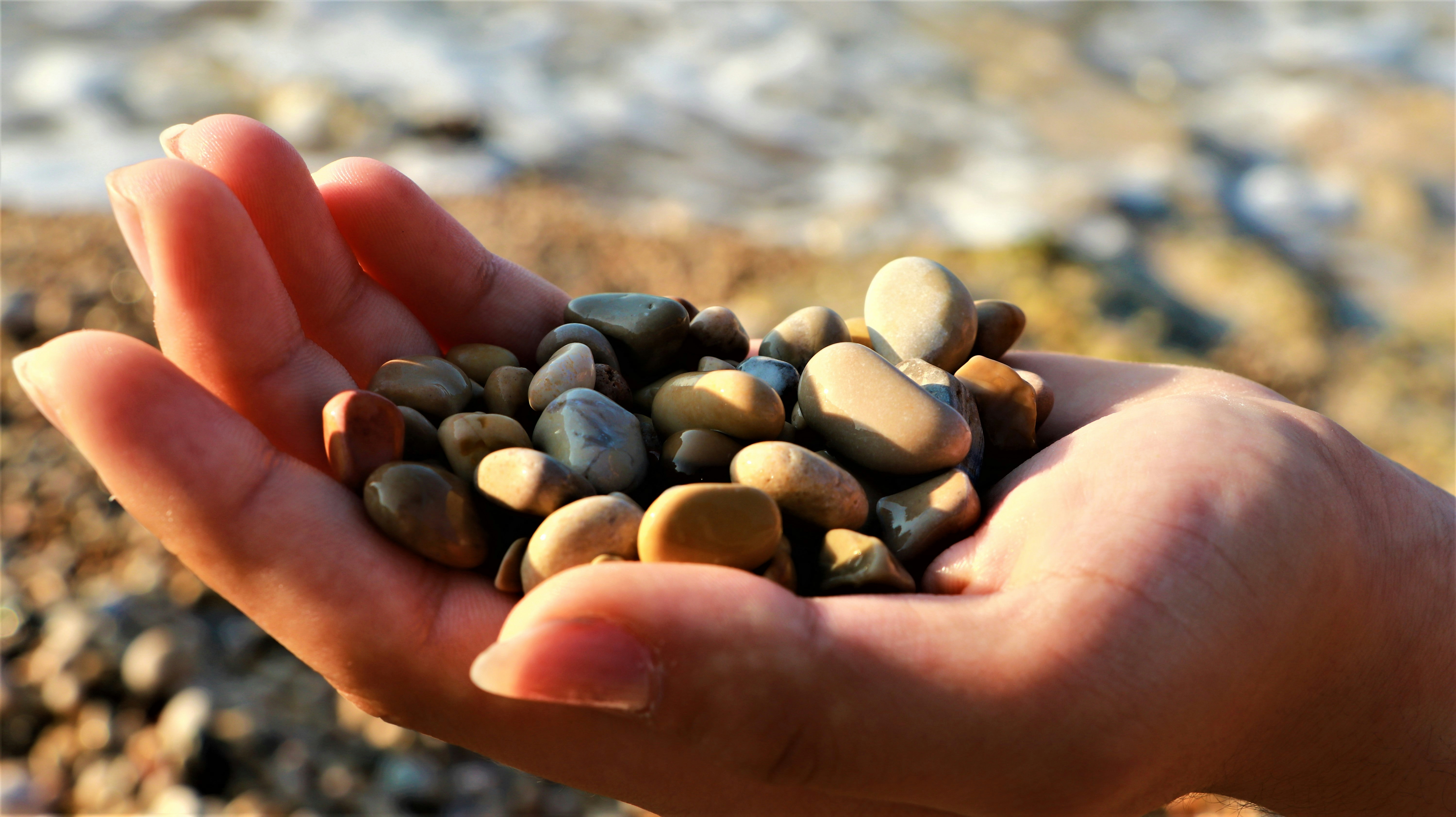 A person holding a handful of rocks in their hand photo – Free Jbeil ...