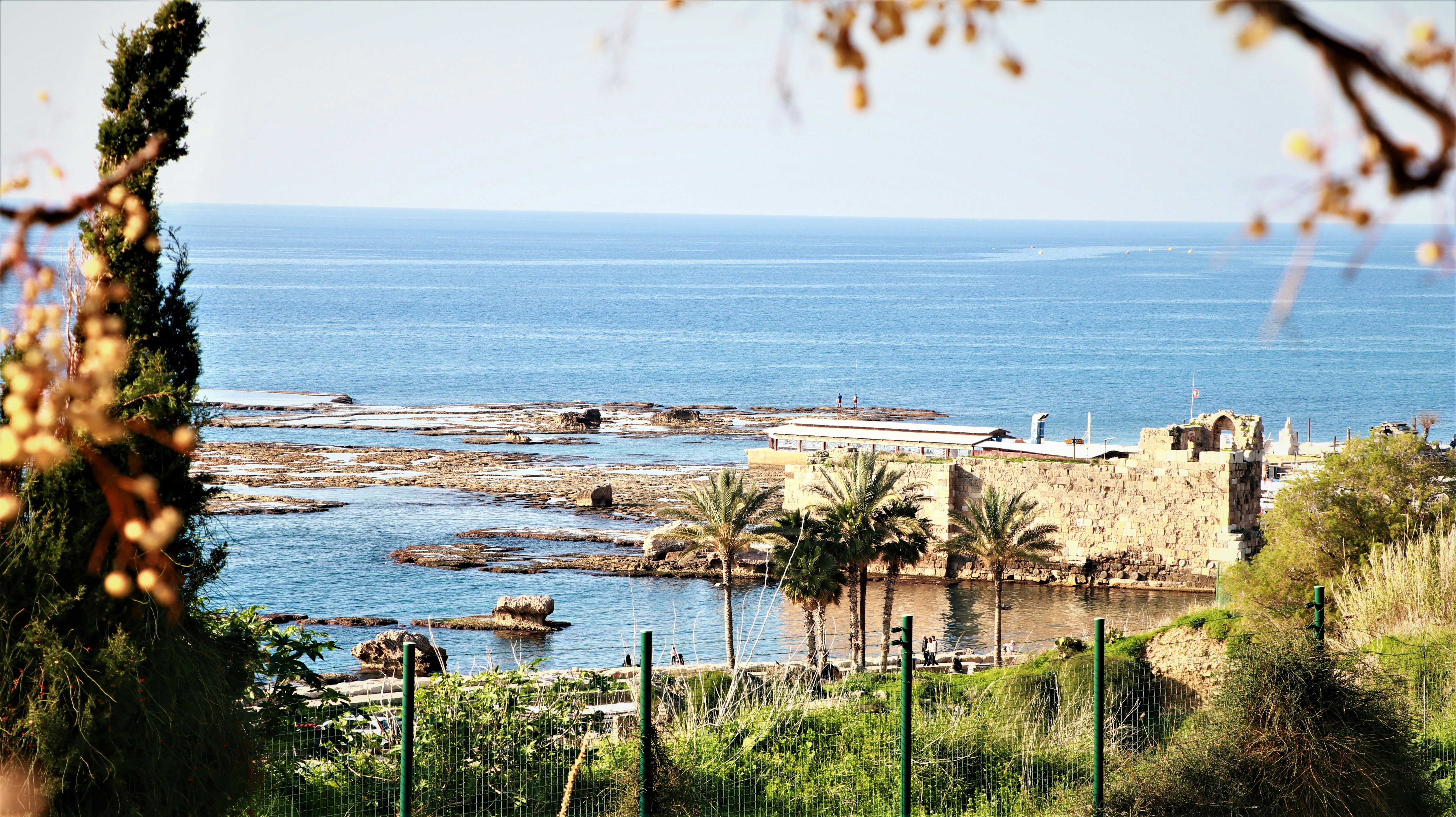 A view of the ocean from a hill photo – Free Lebanon Image on Unsplash