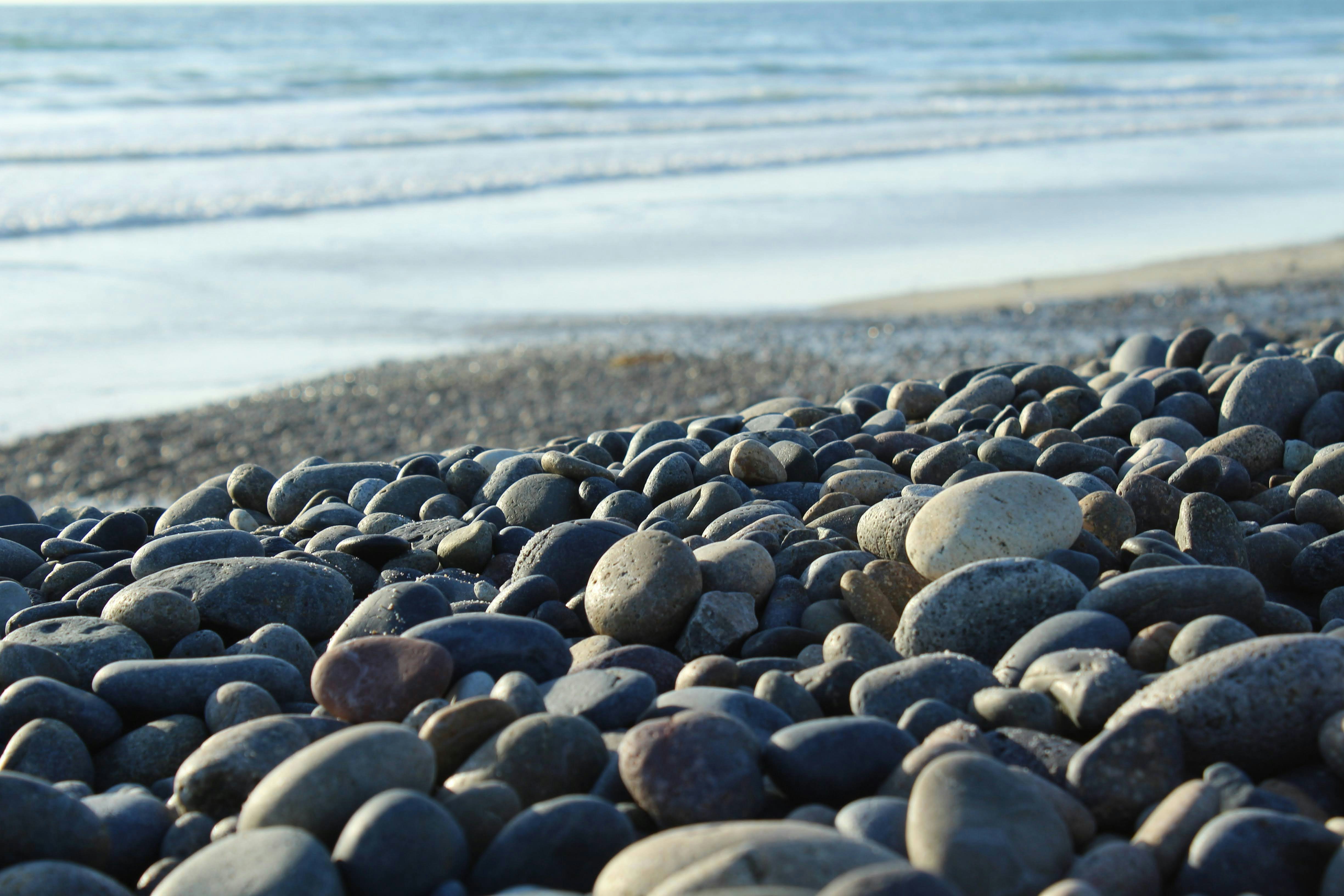 A bunch of rocks that are on a beach photo – Free Encinitas Image on ...
