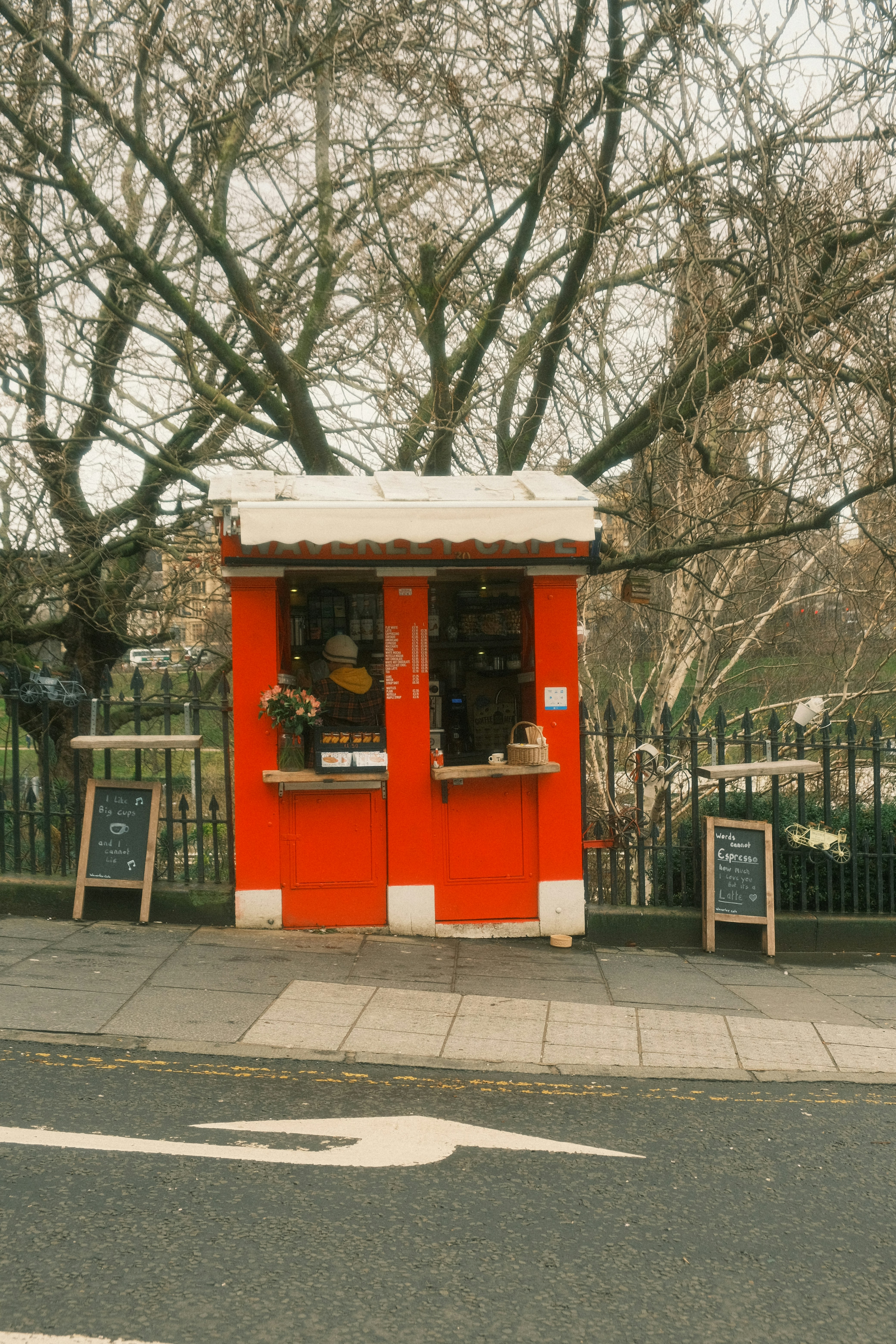 Photo by Sasha Cures with Fujifilm X-S10