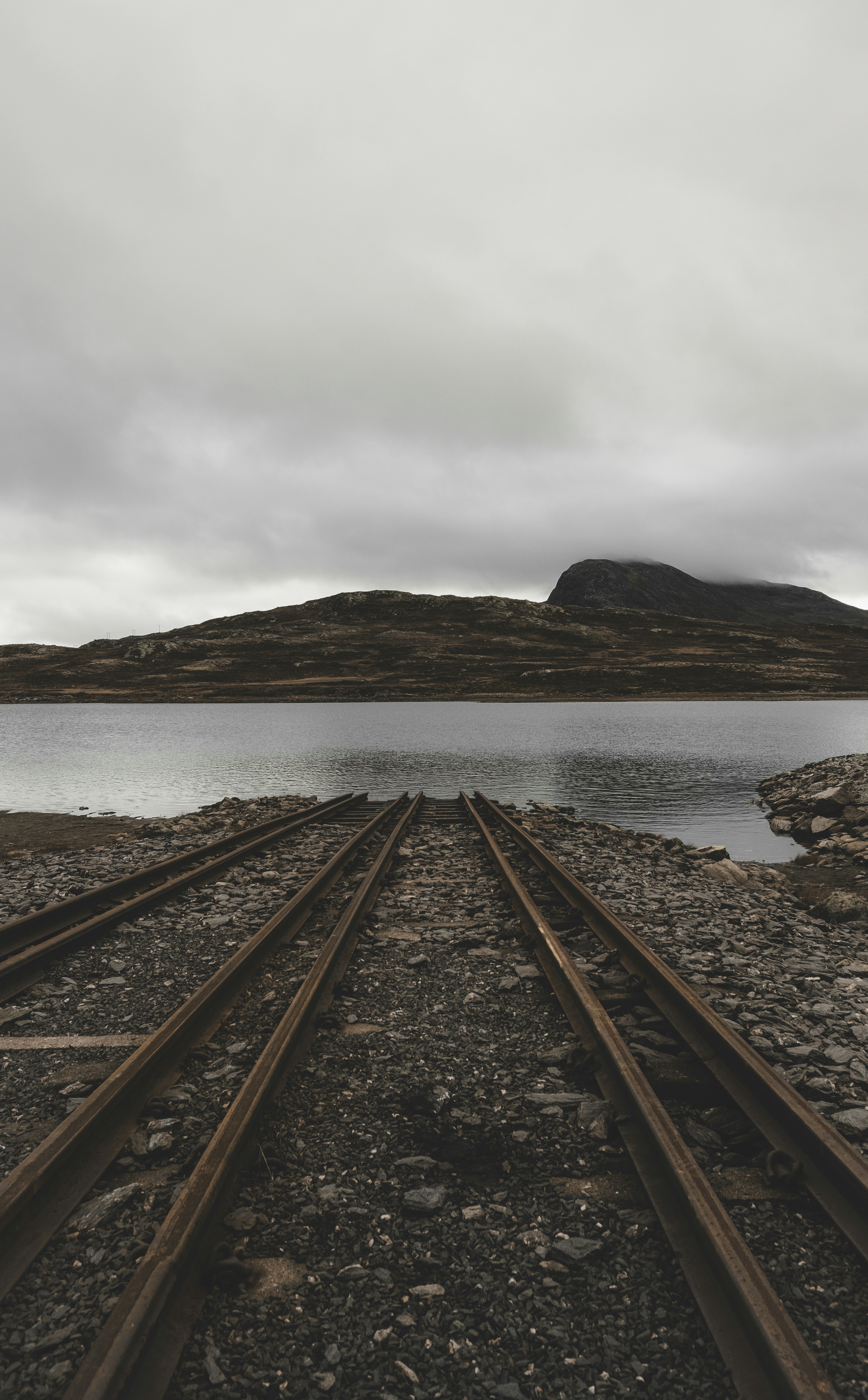 Converging Rails Toward a Quiet Horizon