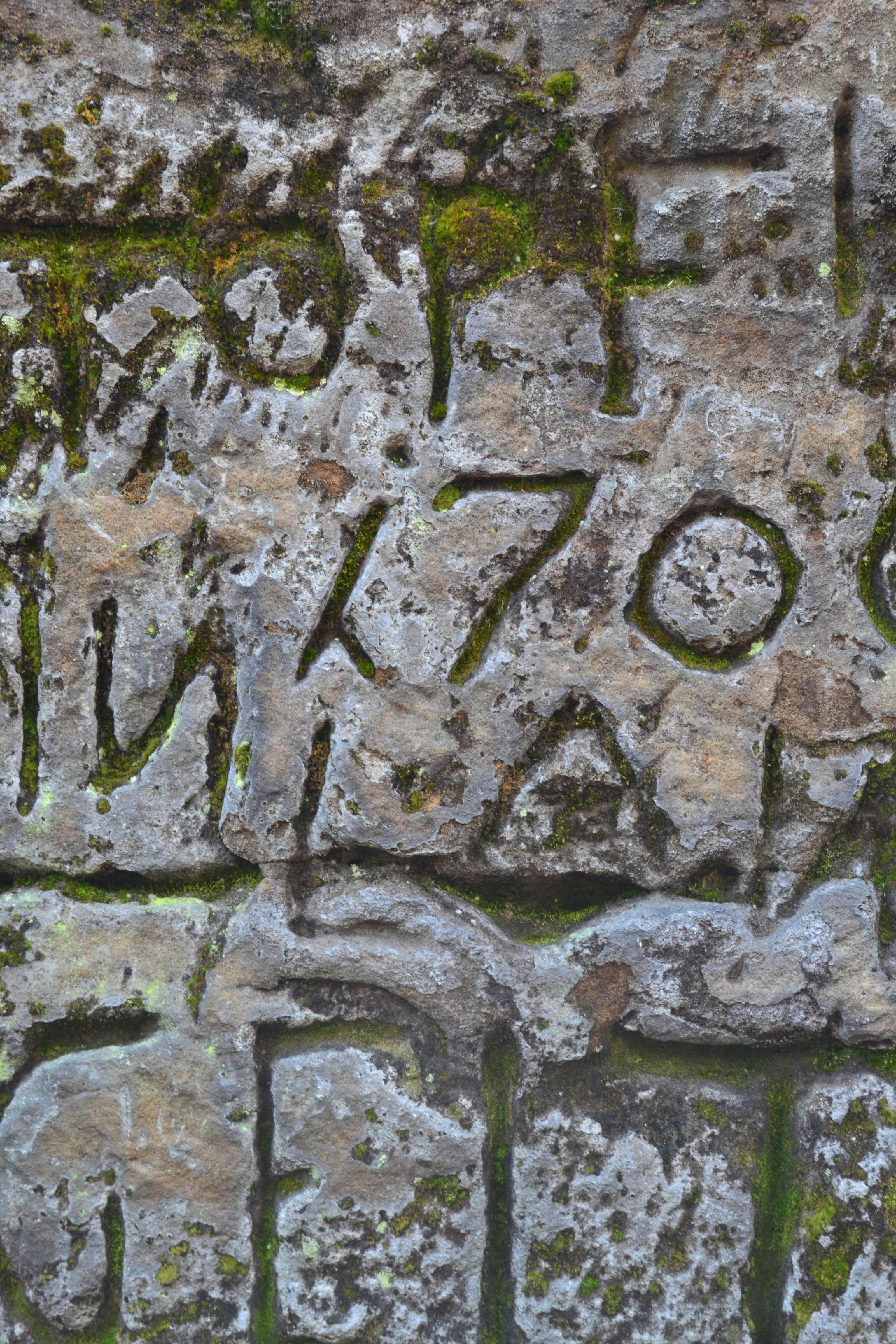 Glyphs in Moss: Timeworn Stone Script on a Mossy Wall