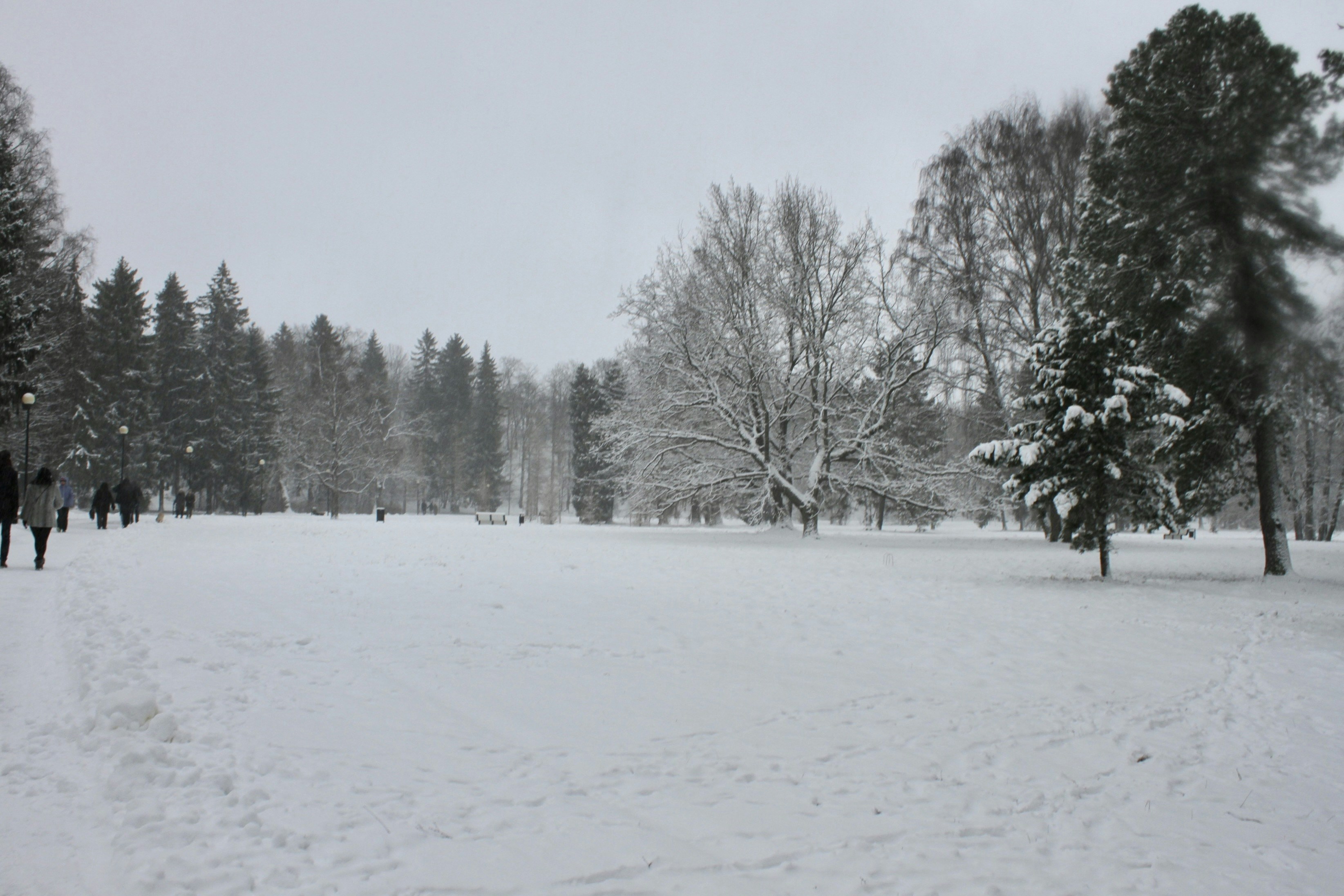 Photo by Veriko Dundua with Canon EOS 7D