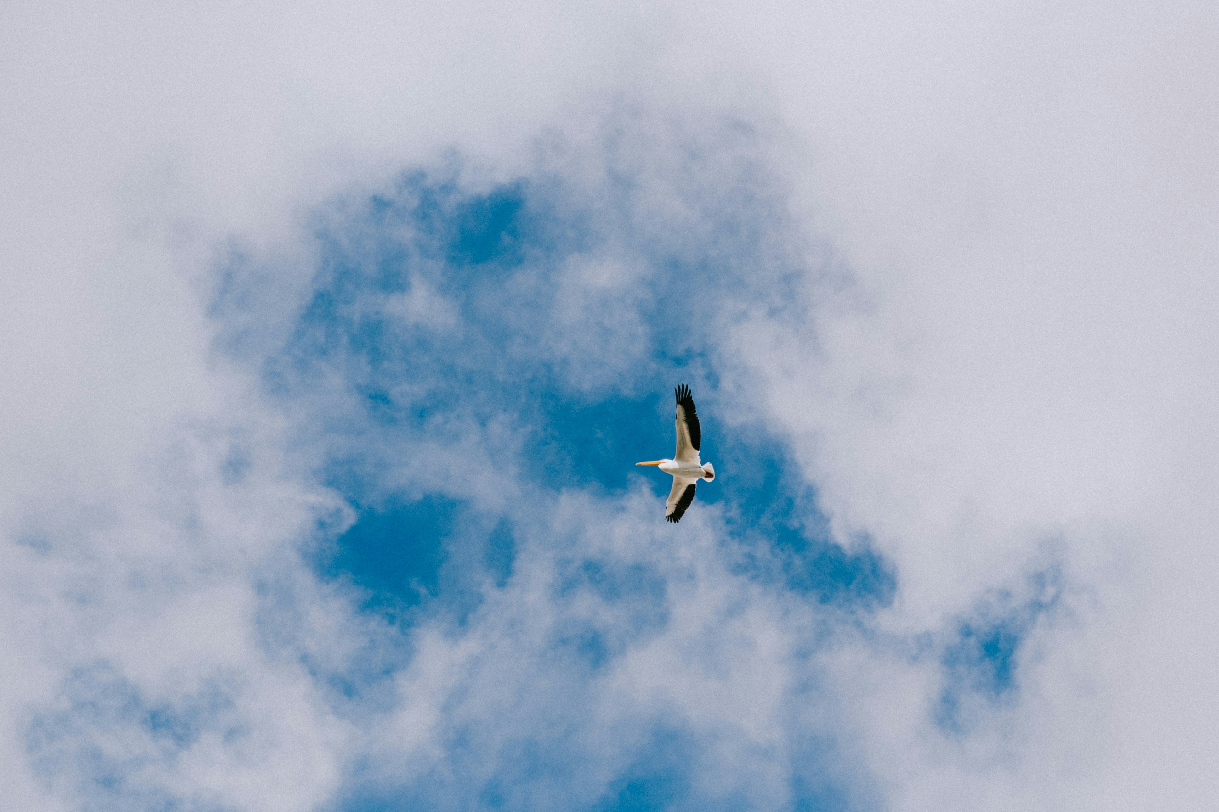 Photo by Ashe Walker with Fujifilm X-T4