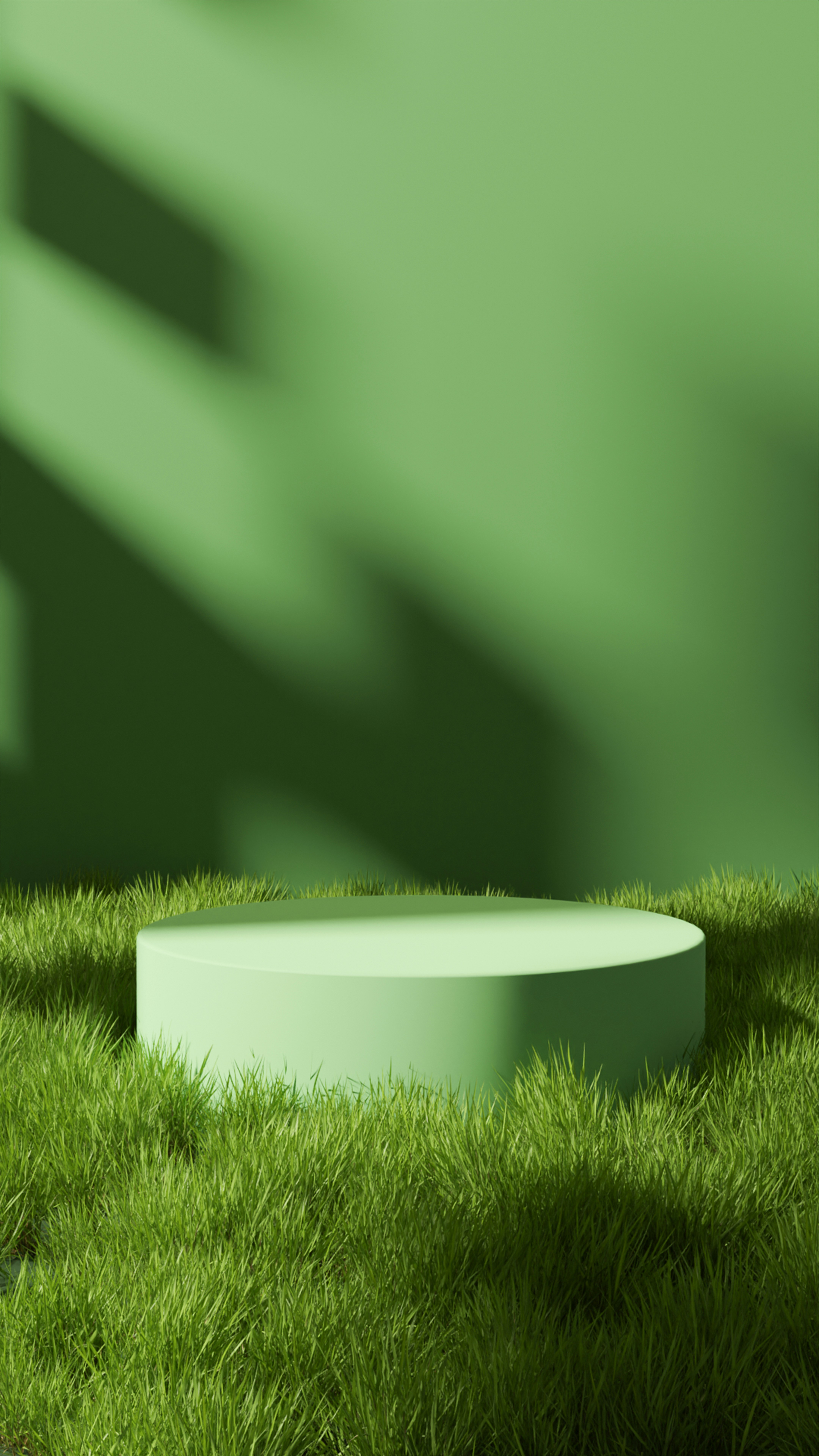A circular object sitting in the middle of some grass photo – Free ...