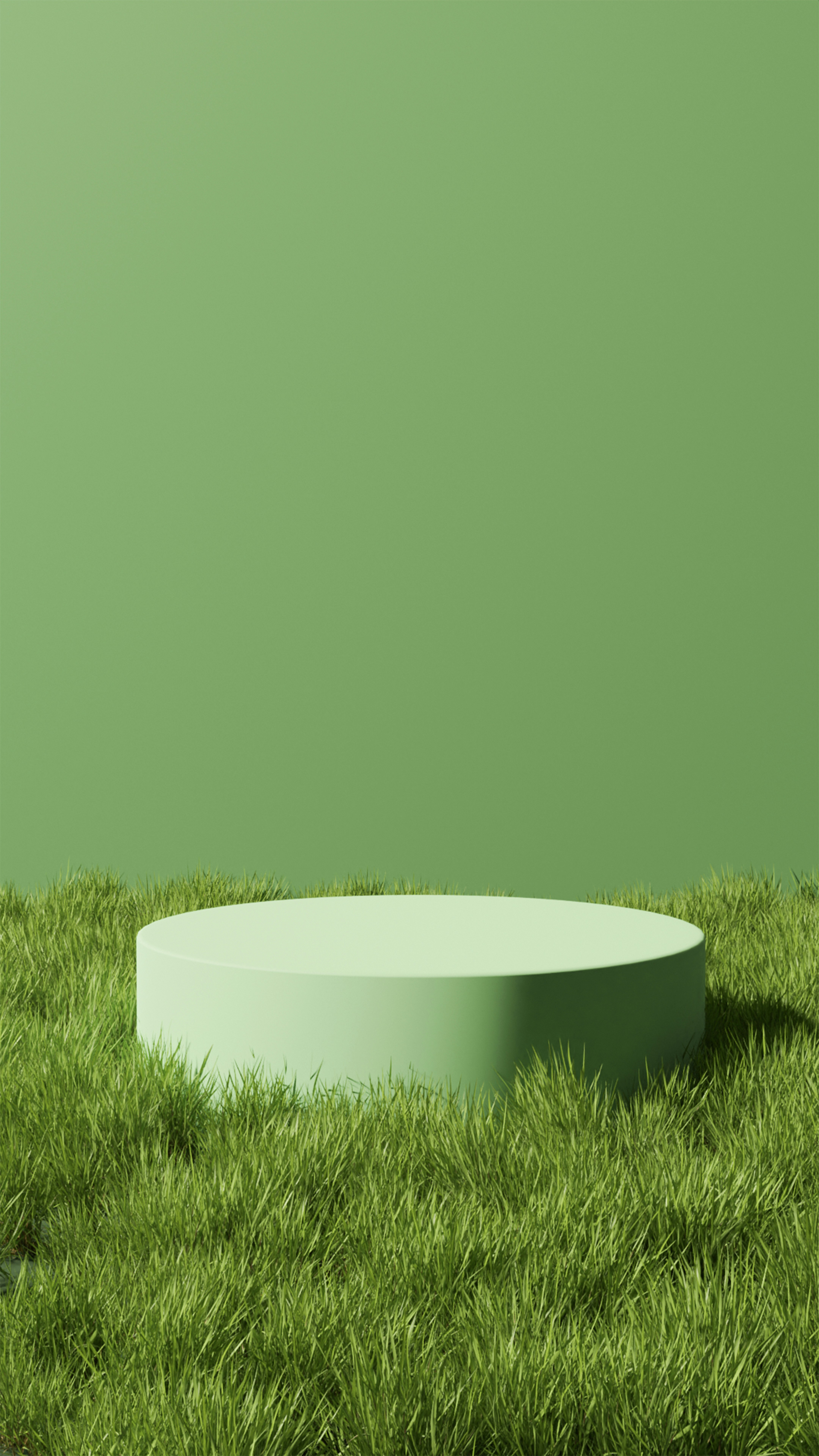 A round object sitting in the middle of some grass photo – Free ...