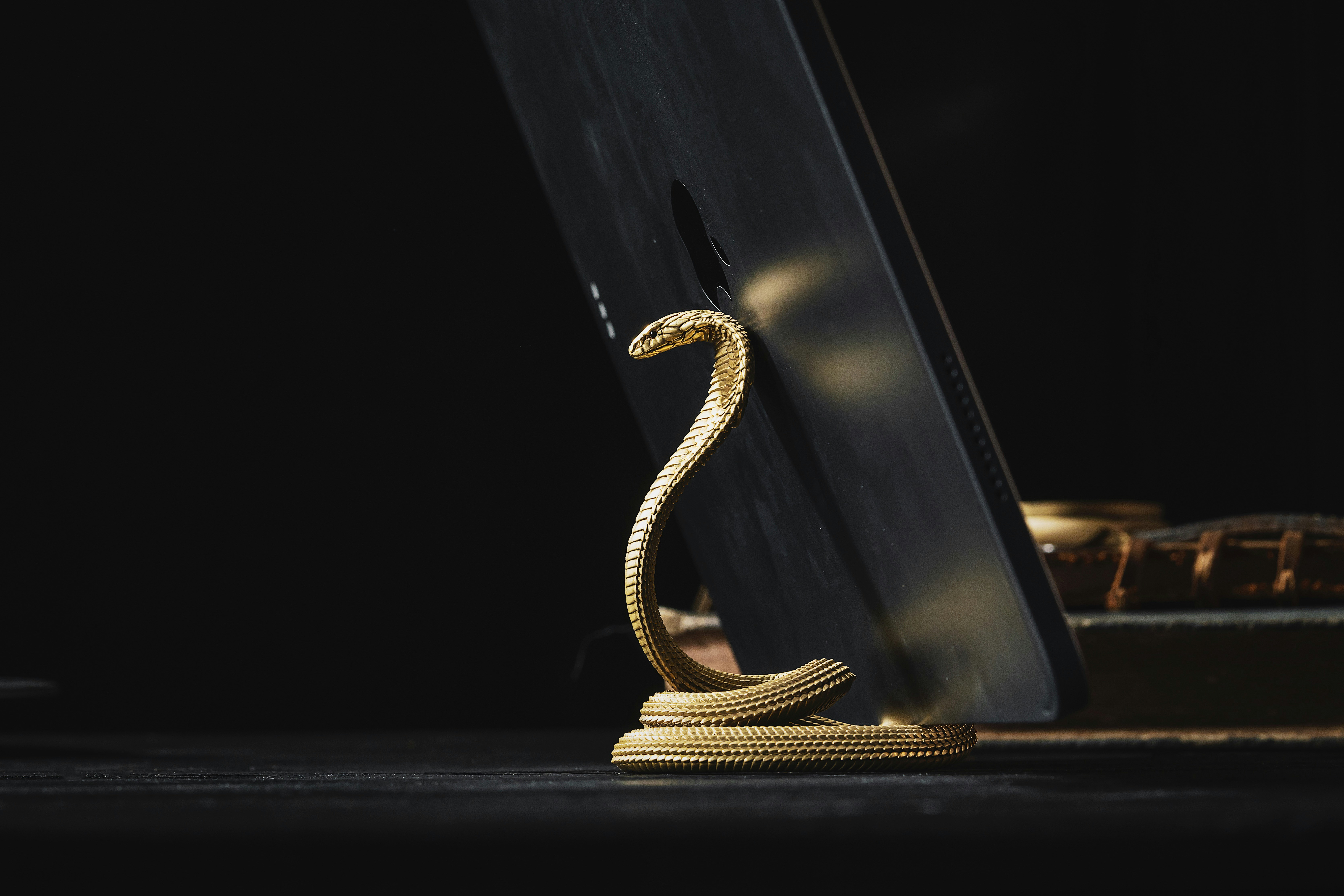 A gold snake on a black surface next to a laptop photo – Free Weapon ...