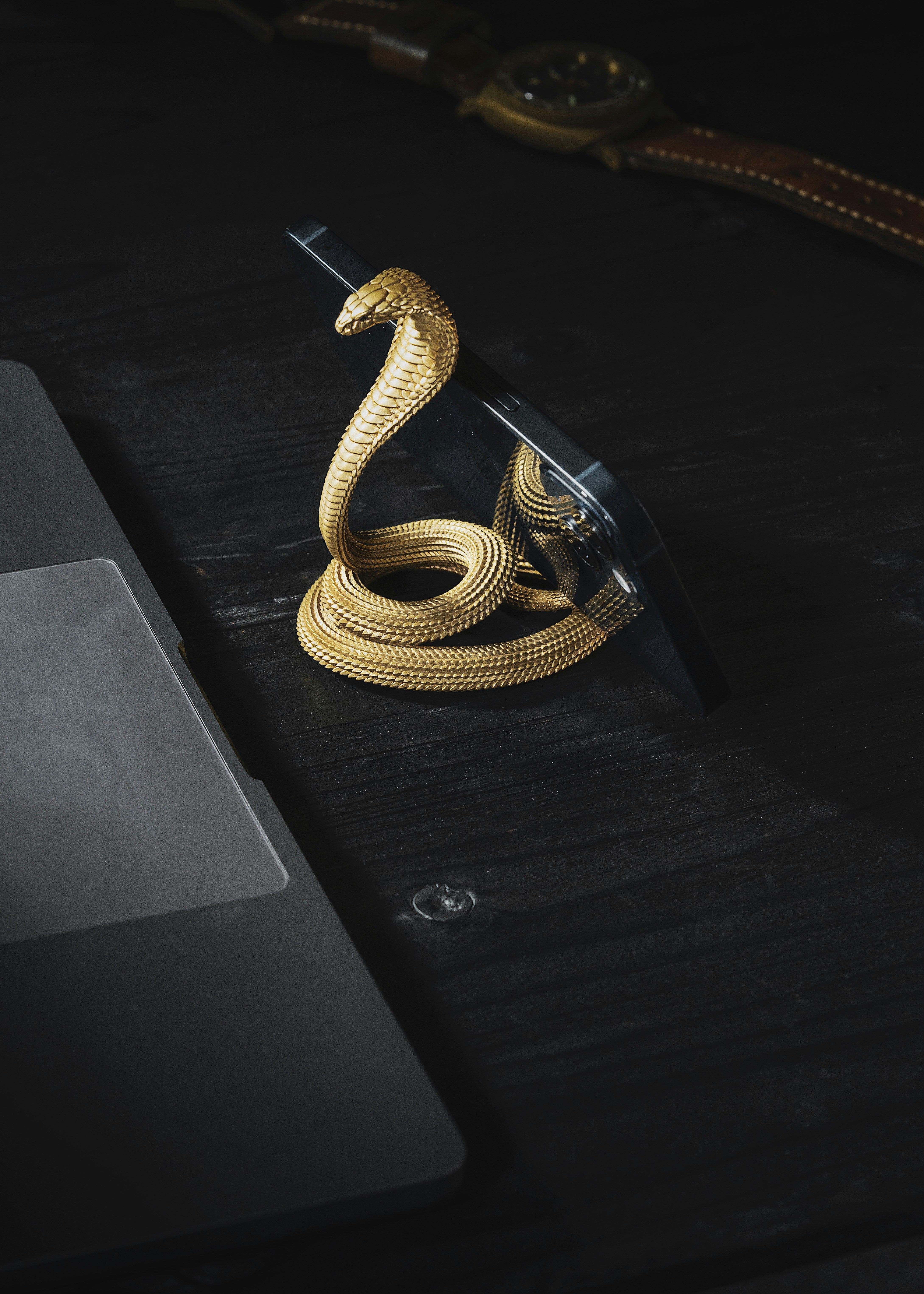 A gold snake on a desk next to a laptop photo – Free Animal Image on ...