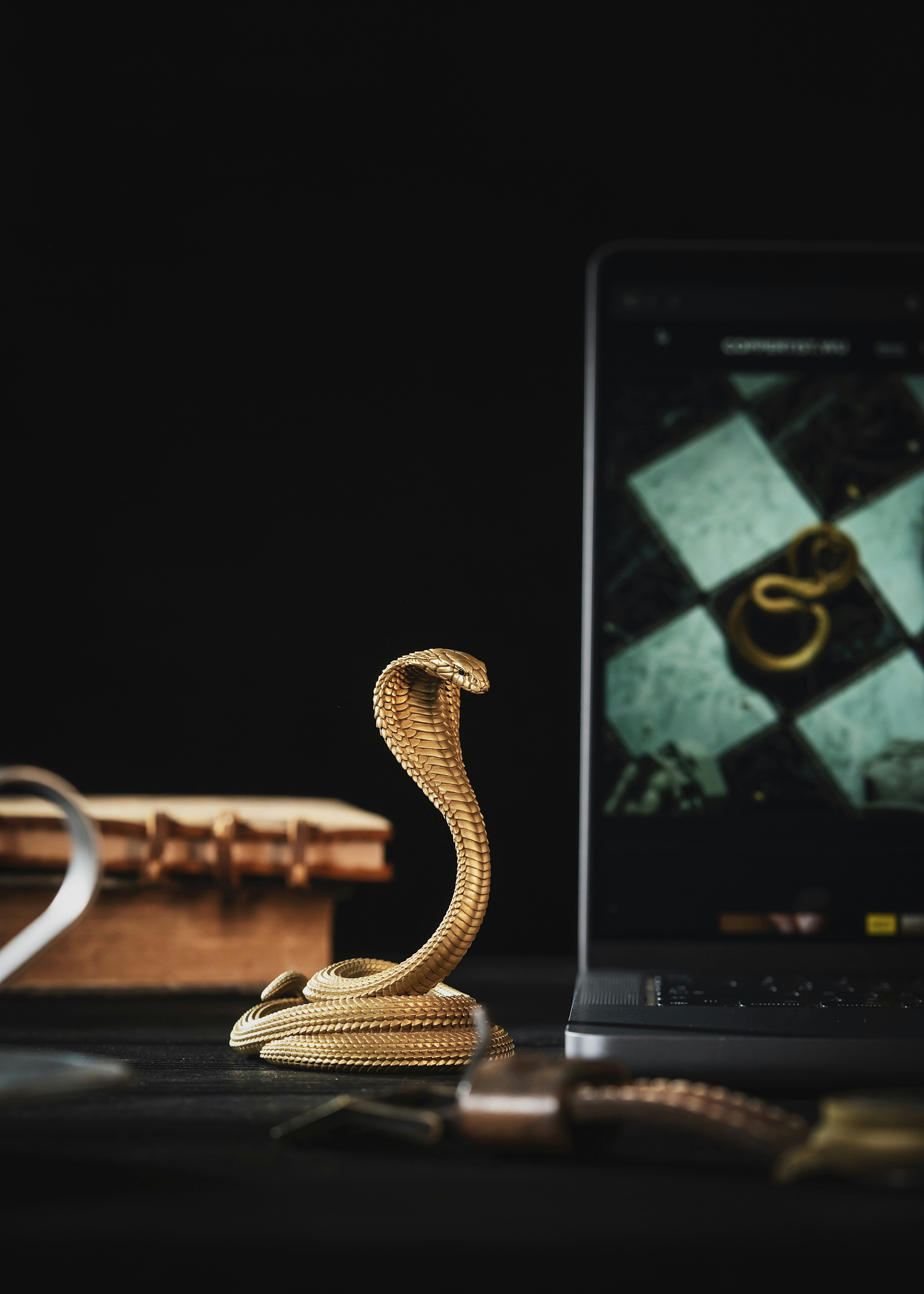 A snake sitting on top of a desk next to a laptop photo – Free Cobra ...