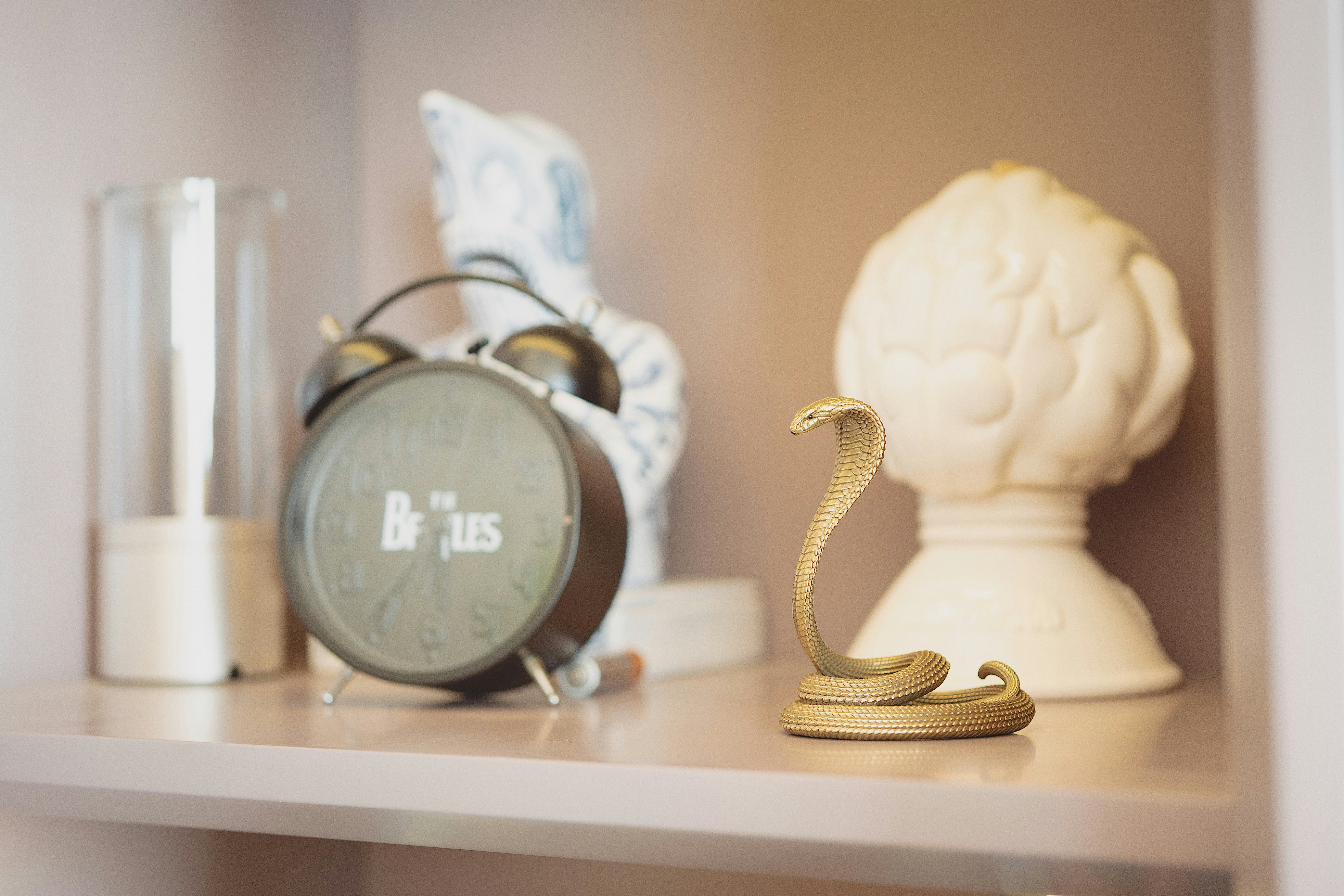 A clock and a snake on a shelf photo – Free Alarm clock Image on Unsplash