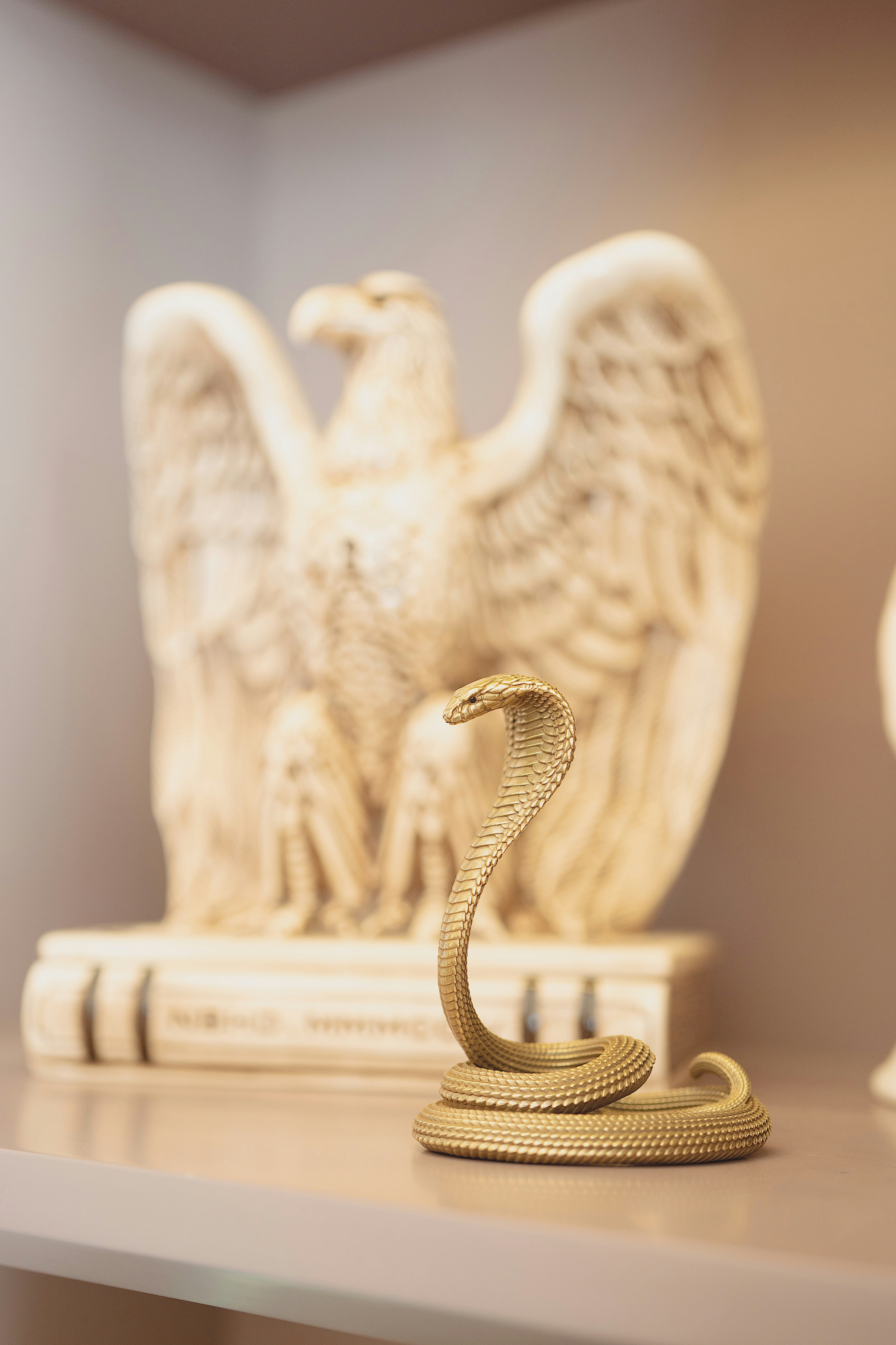 Gold Cobra on a Shelf: Quiet Reverence Between Statue and Book