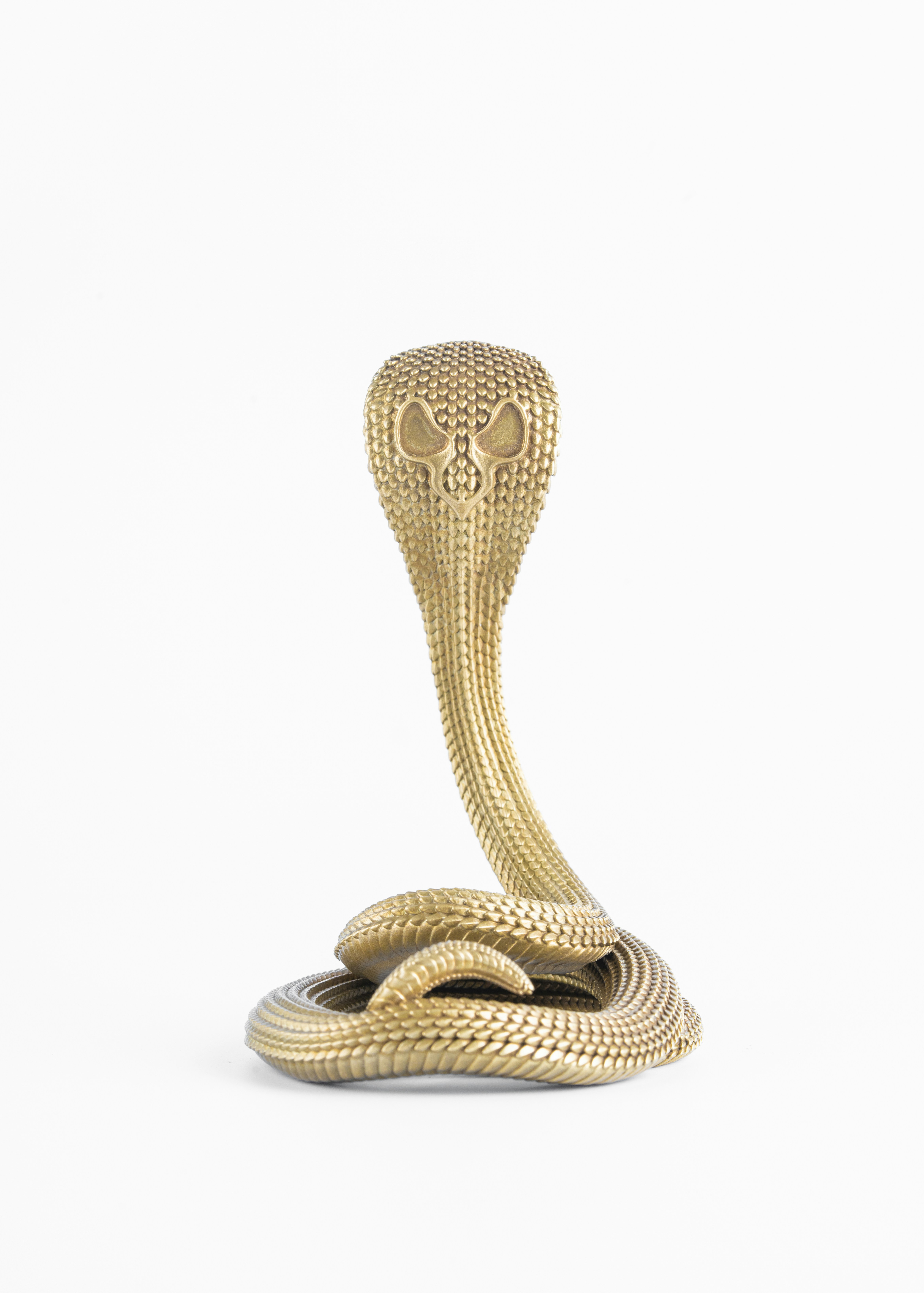 A gold snake statue on a white background photo – Free Cobra Image on ...