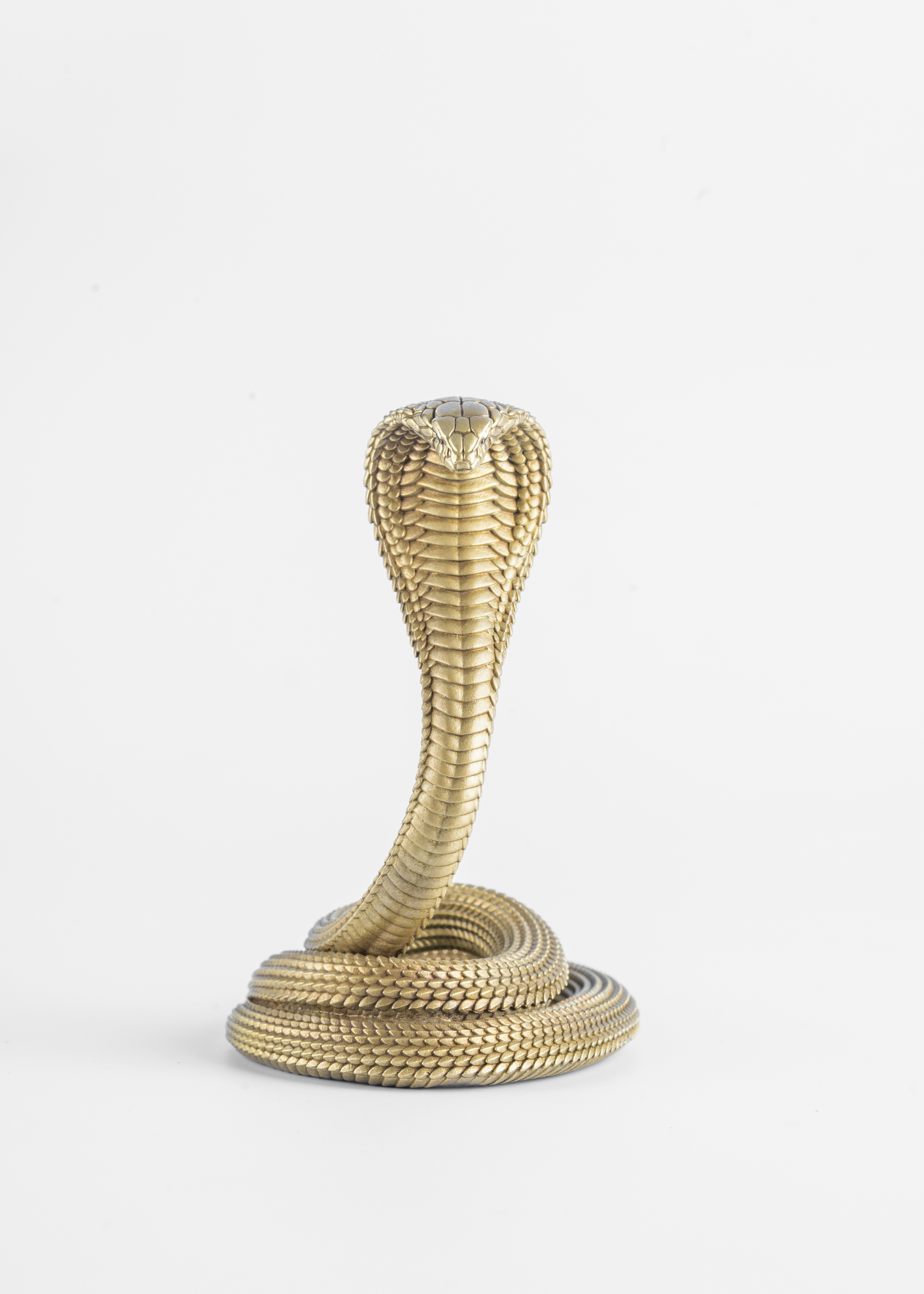 A gold cobra statue on a white background photo – Free Animal Image on ...