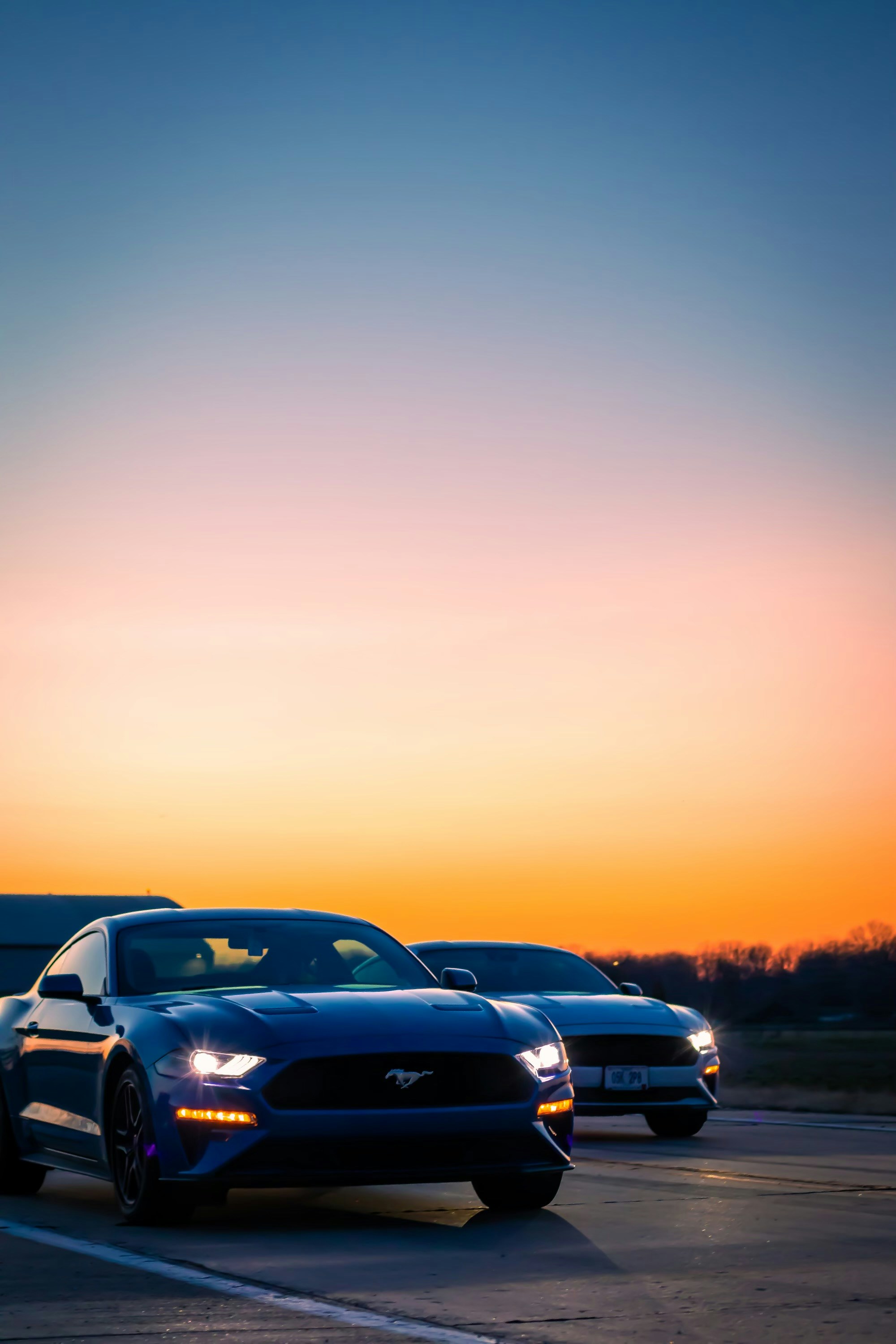 Twilight Velocity: Mustangs Carve the Sunset