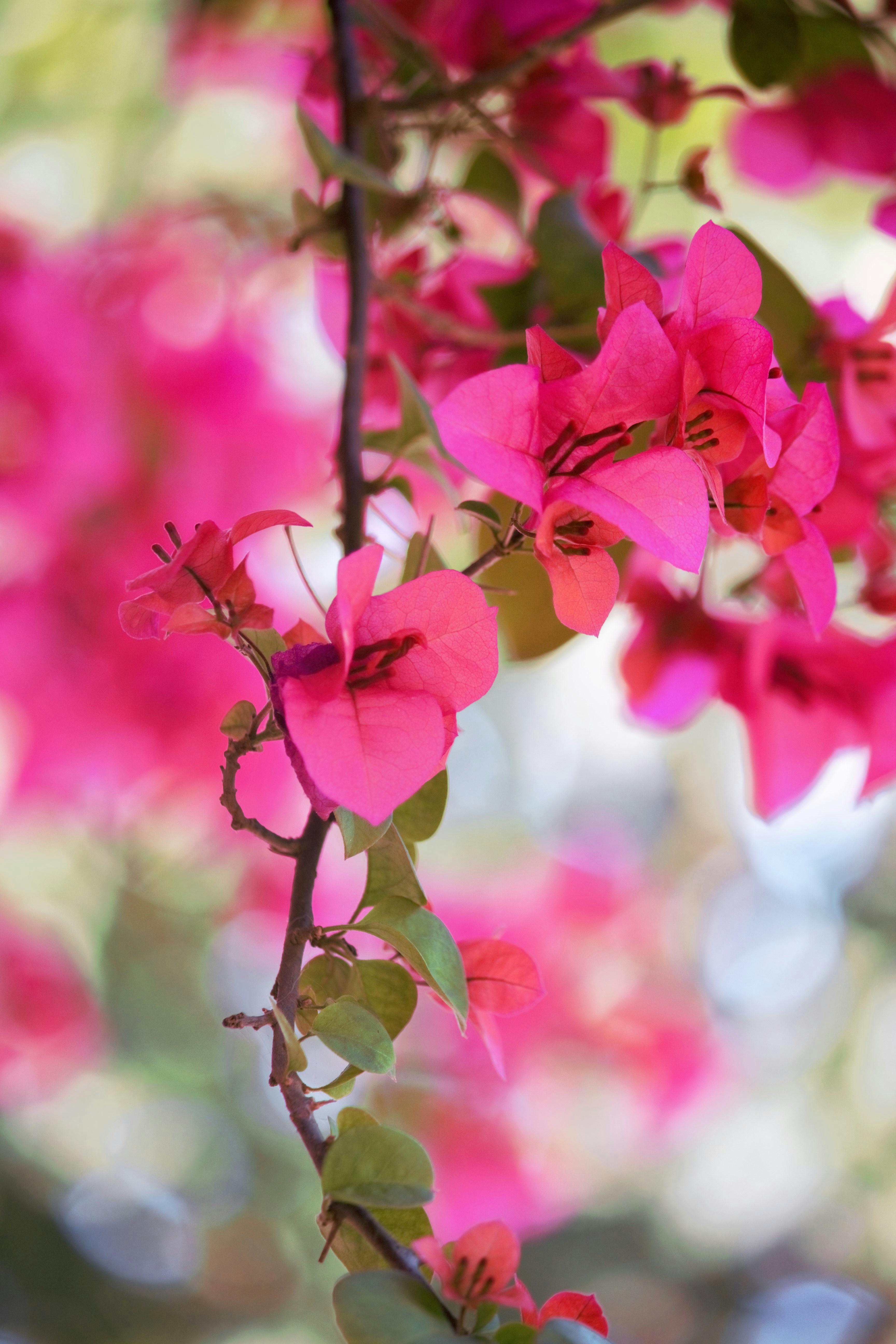 Rachit (@rachit_1108) | Unsplash Photo Community