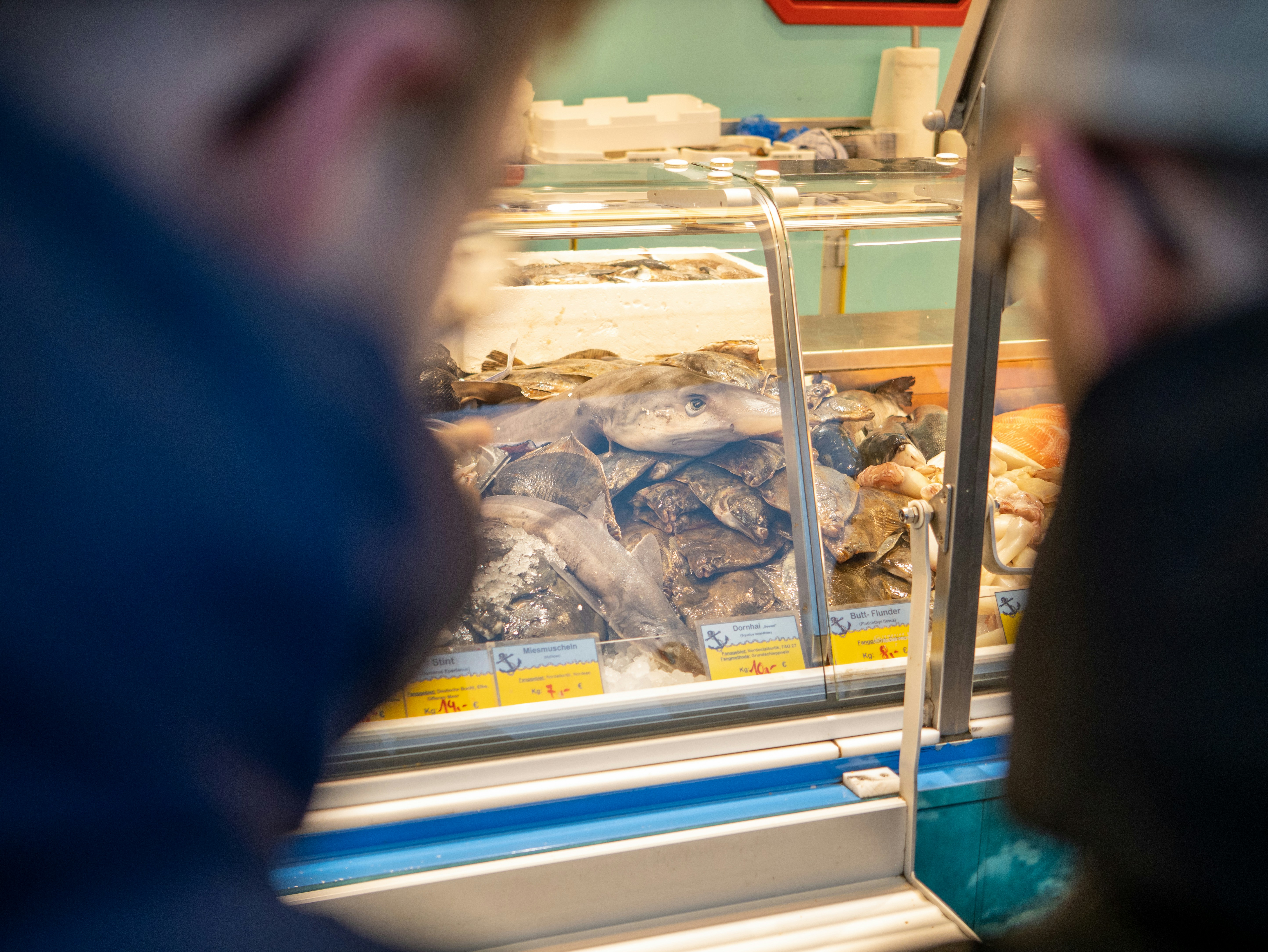Two people observing a variety of fish displayed in a market case.