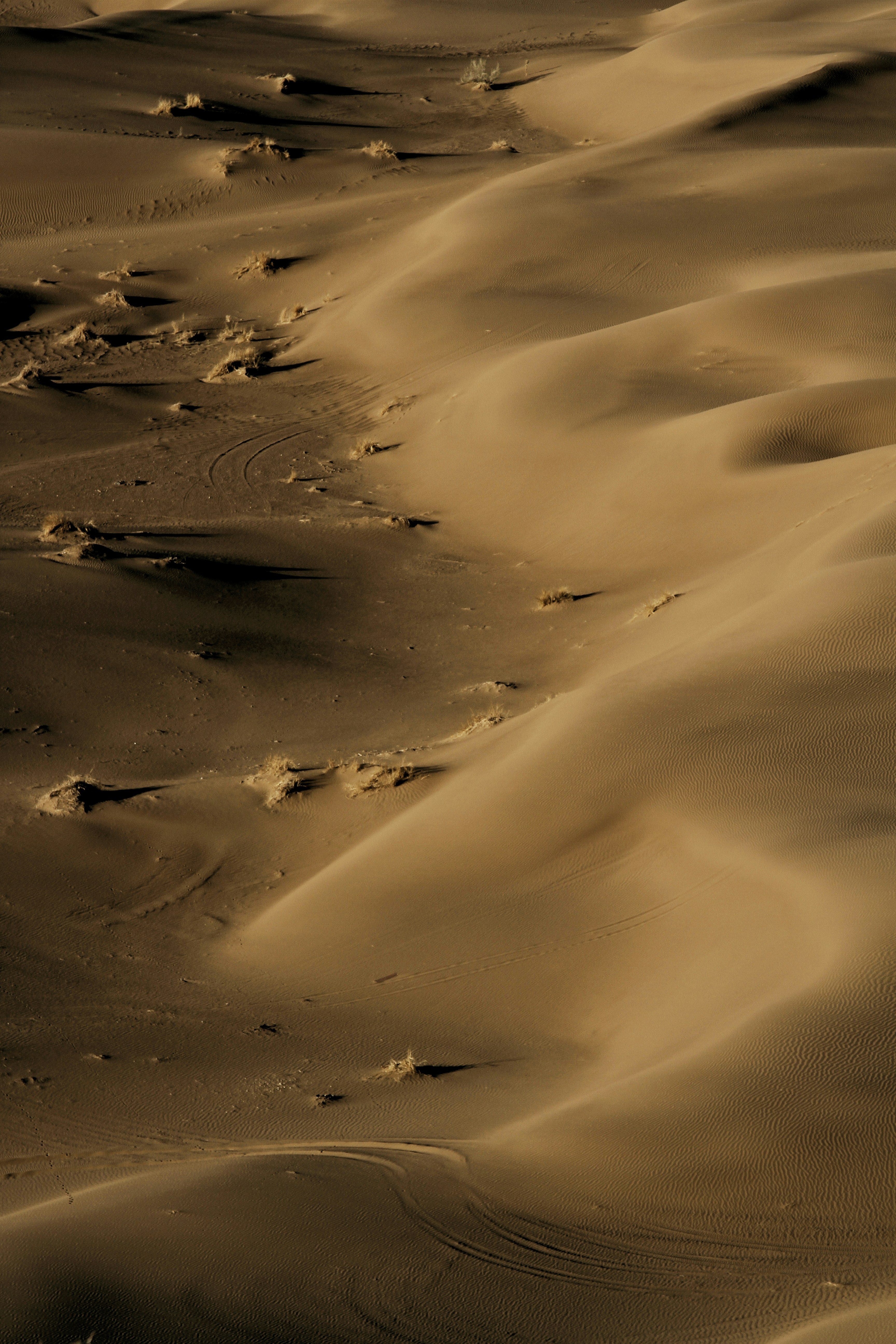 A sandy area with footprints in the sand photo – Free Nature ...