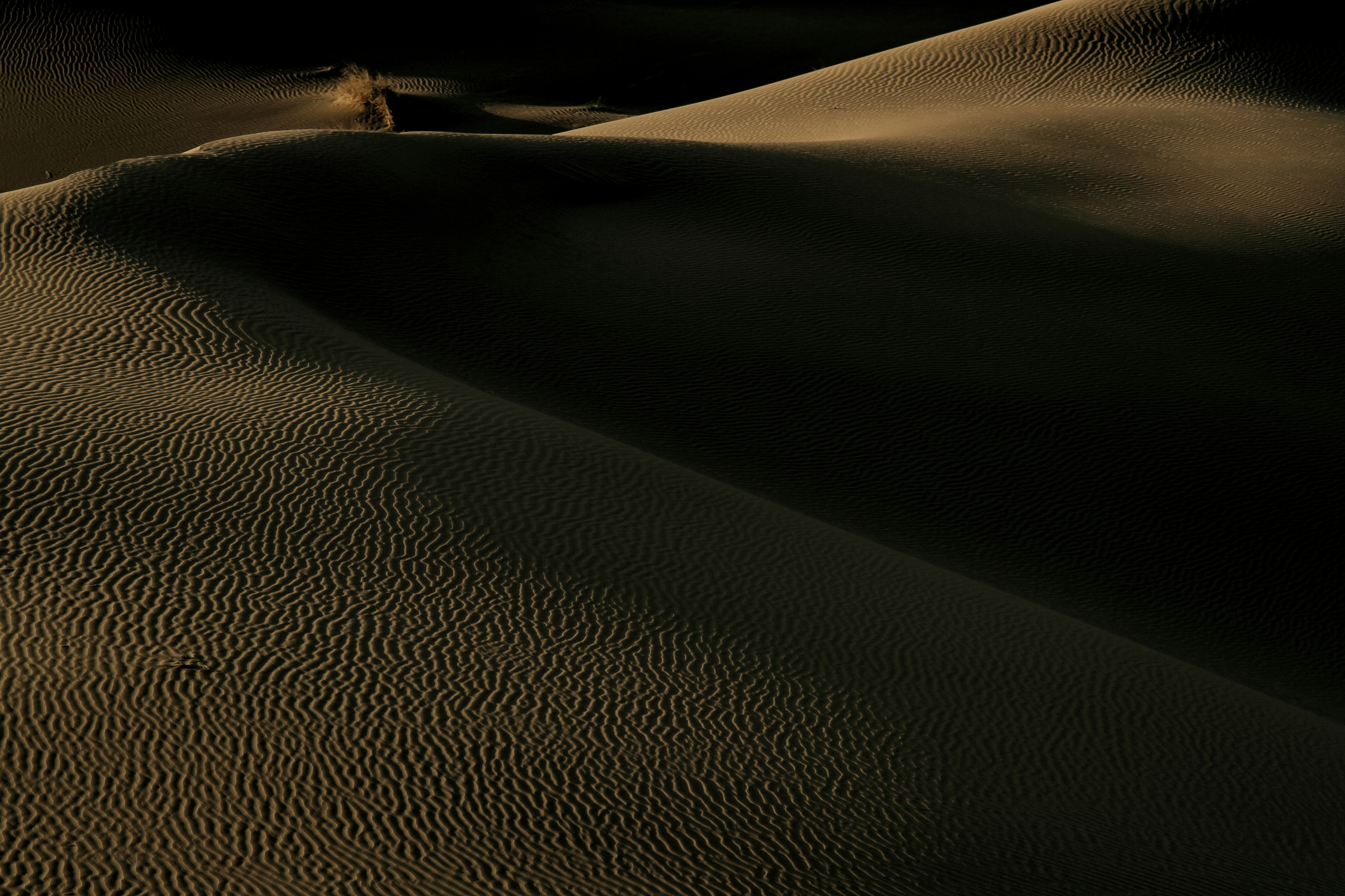 Golden light casts soft shadows over rippled sand dunes.
