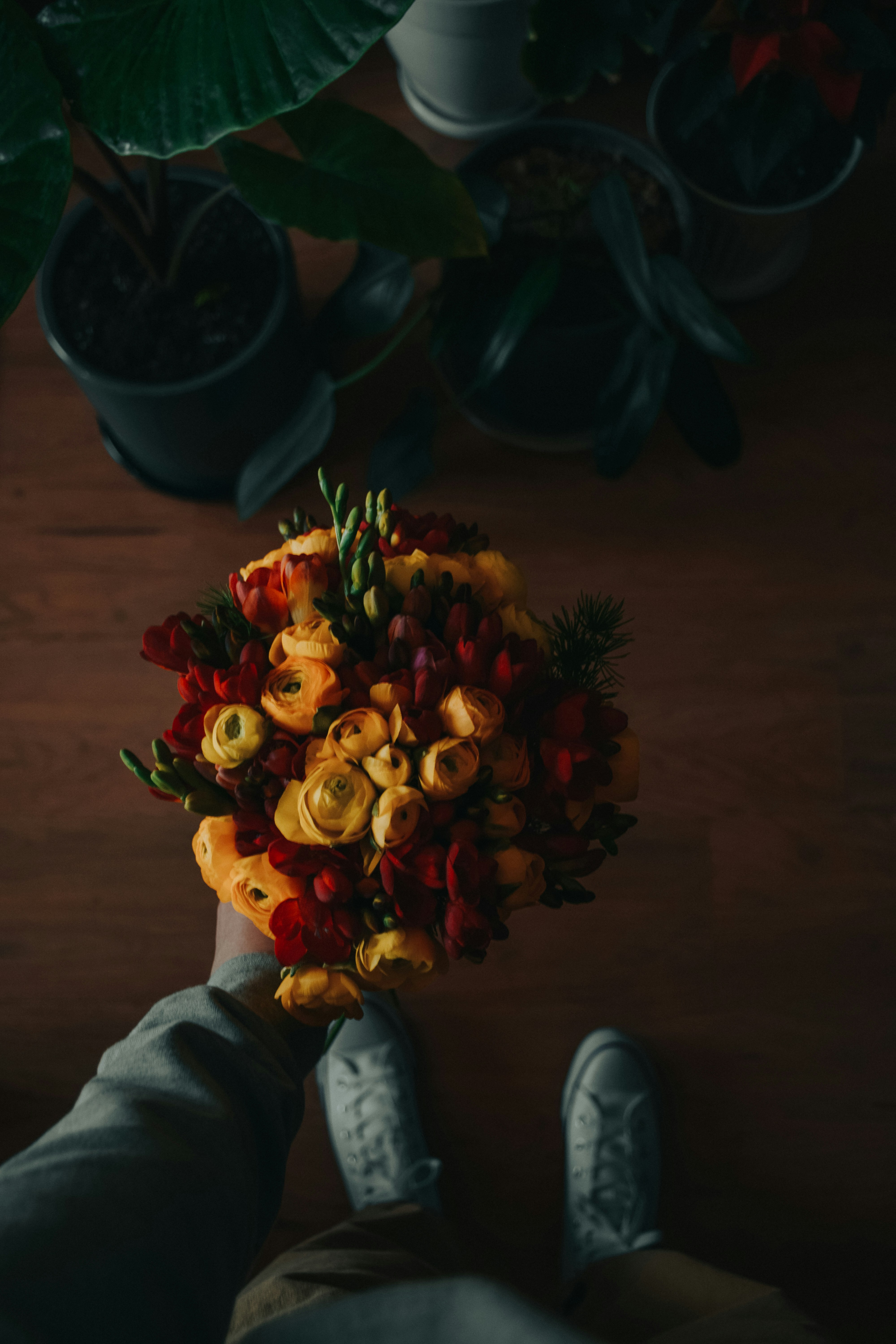 Bouquet from Above: A Dimly Lit Walk to Colorful Roses