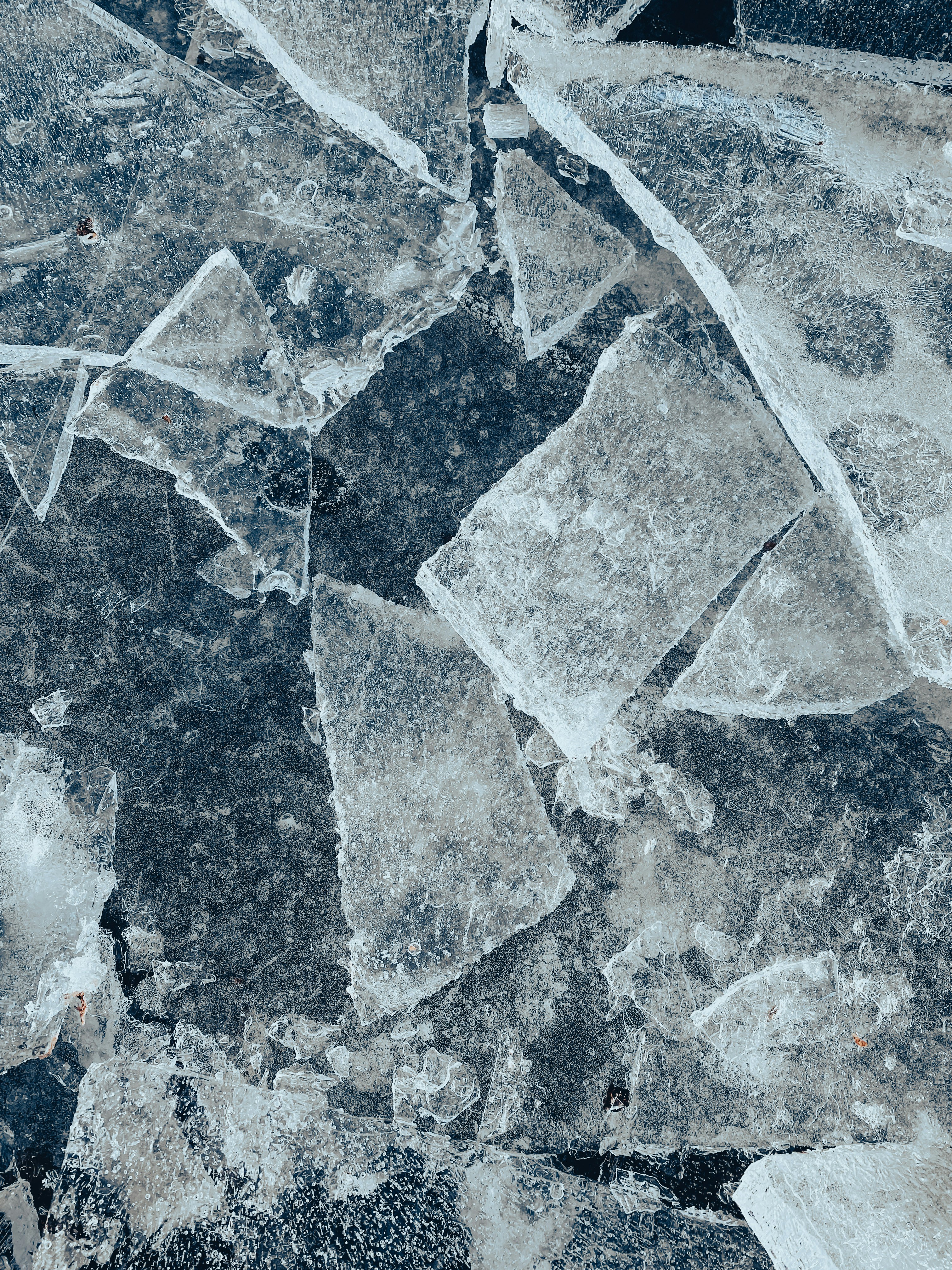 a black and white photo of ice on the ground