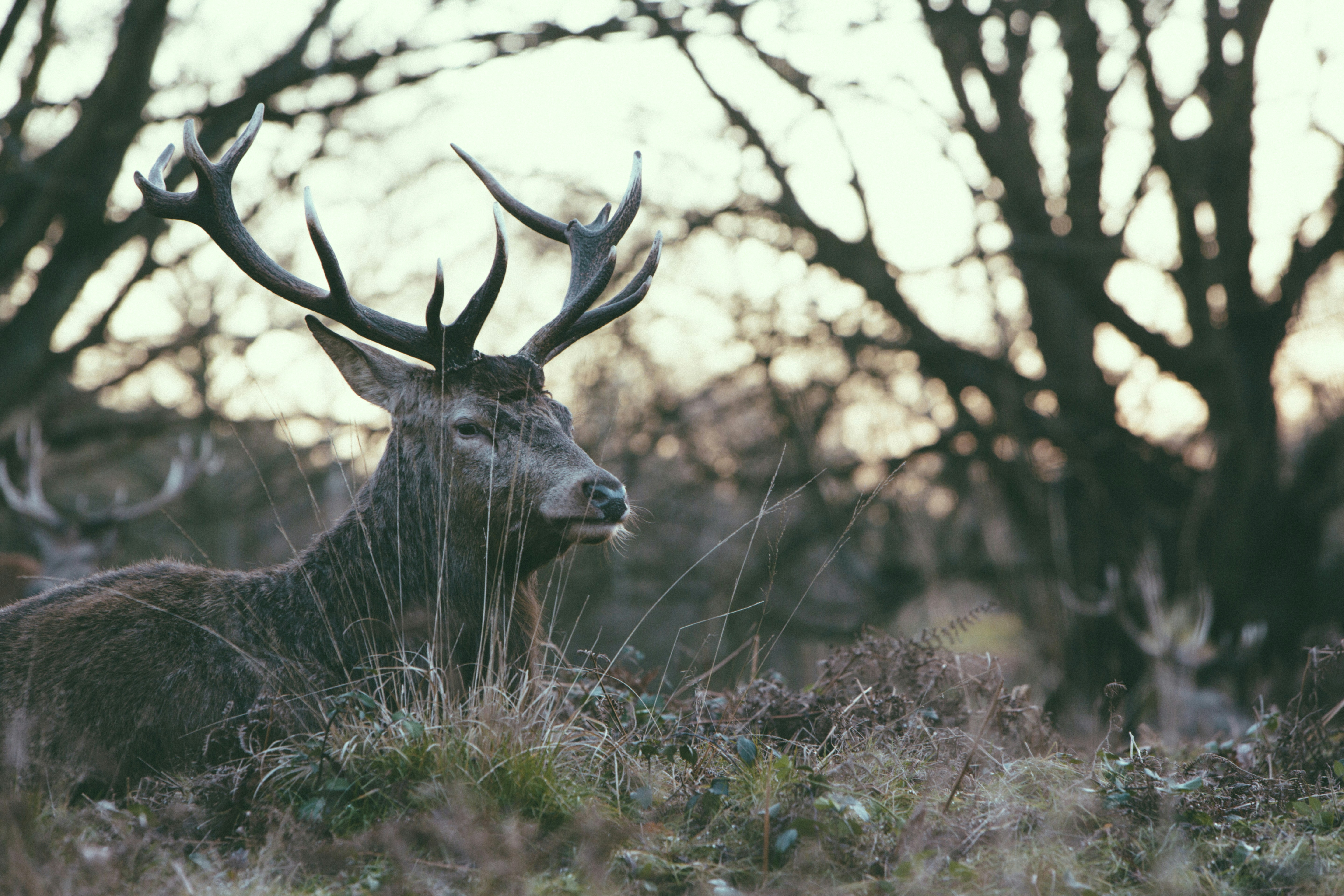 Photo by Gregory John with Canon EOS 5D Mark III