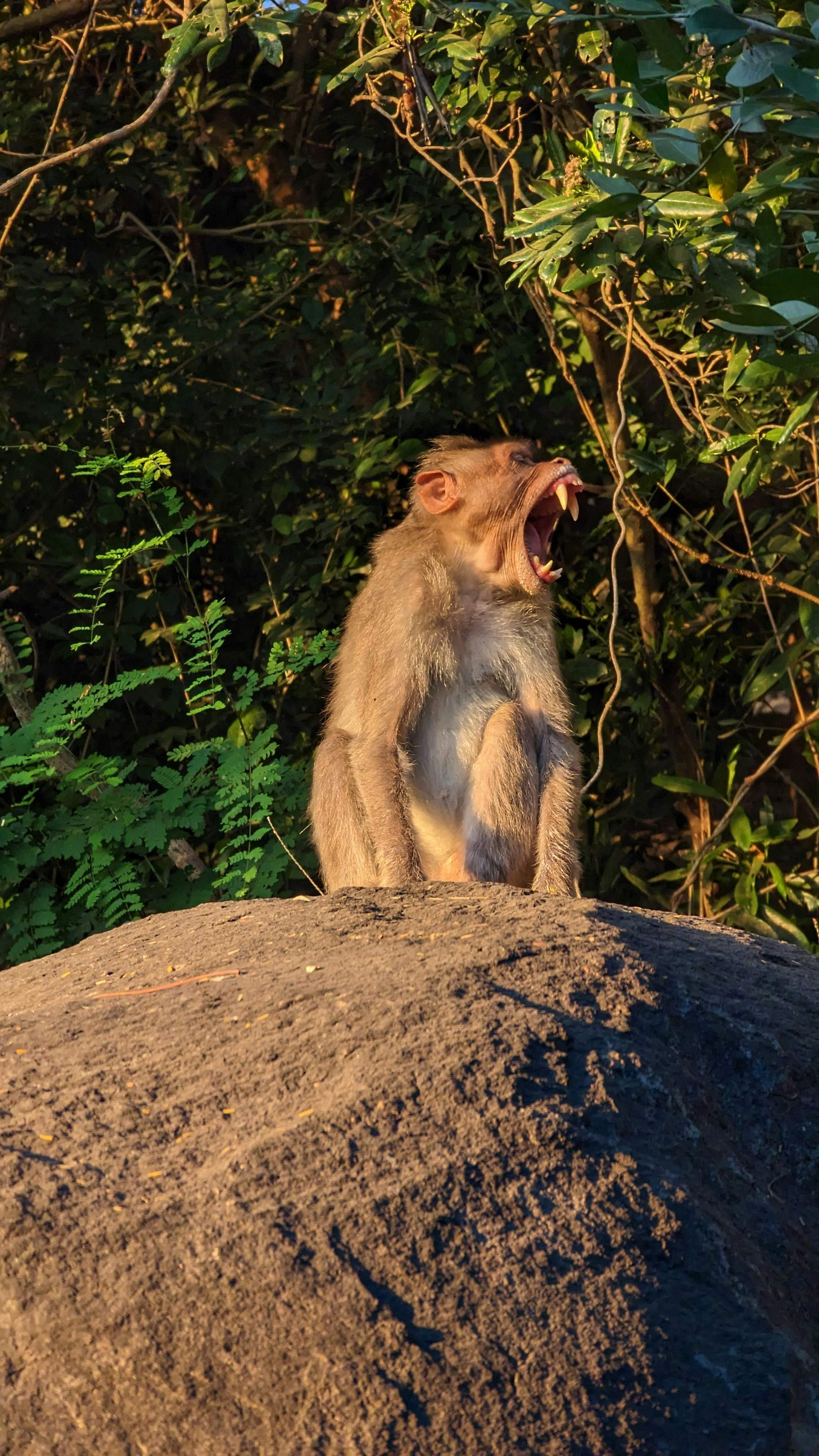 karthick Narain (@karthick_narain) | Unsplash 사진 커뮤니티