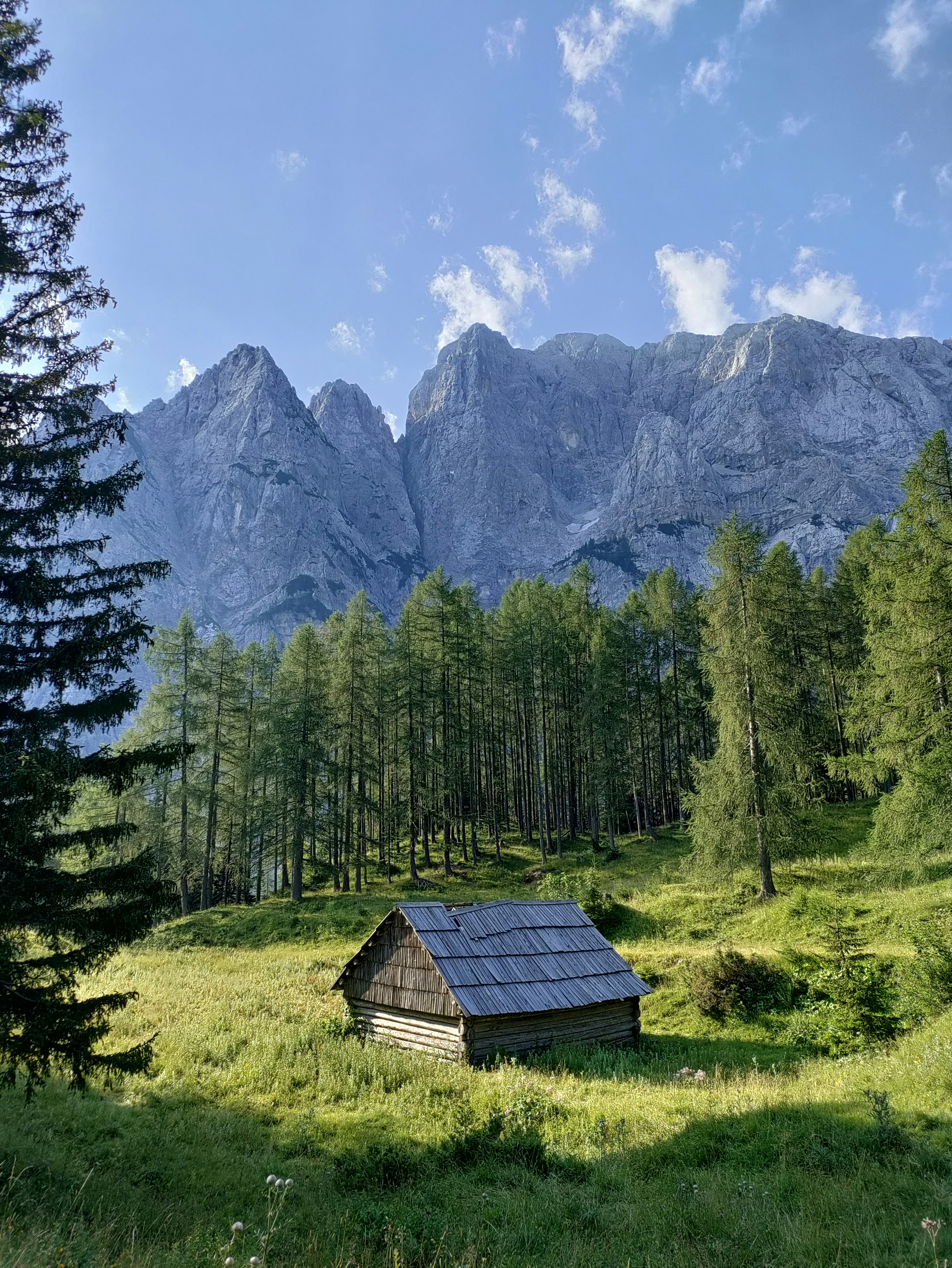 Sample photo from OnePlus Nord CE