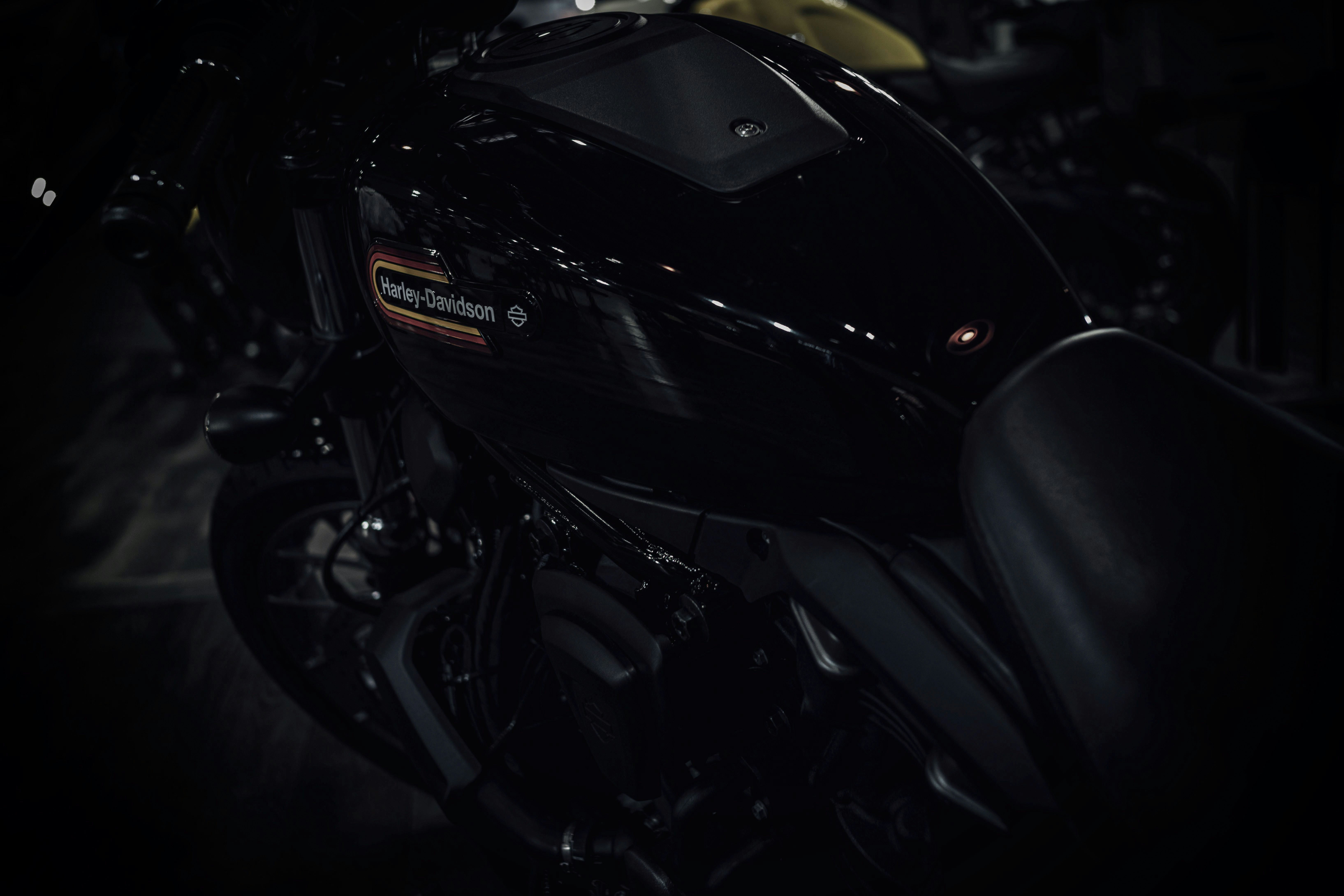 Photo by moollyem with Sony Alpha 7R III